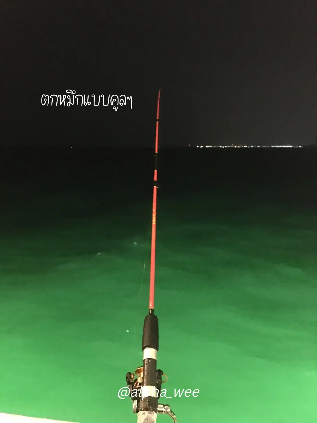 ไปตกหมึกกันนนน~🦑 | แกลเลอรีที่โพสต์โดย Ig imalpha_wee | Lemon8