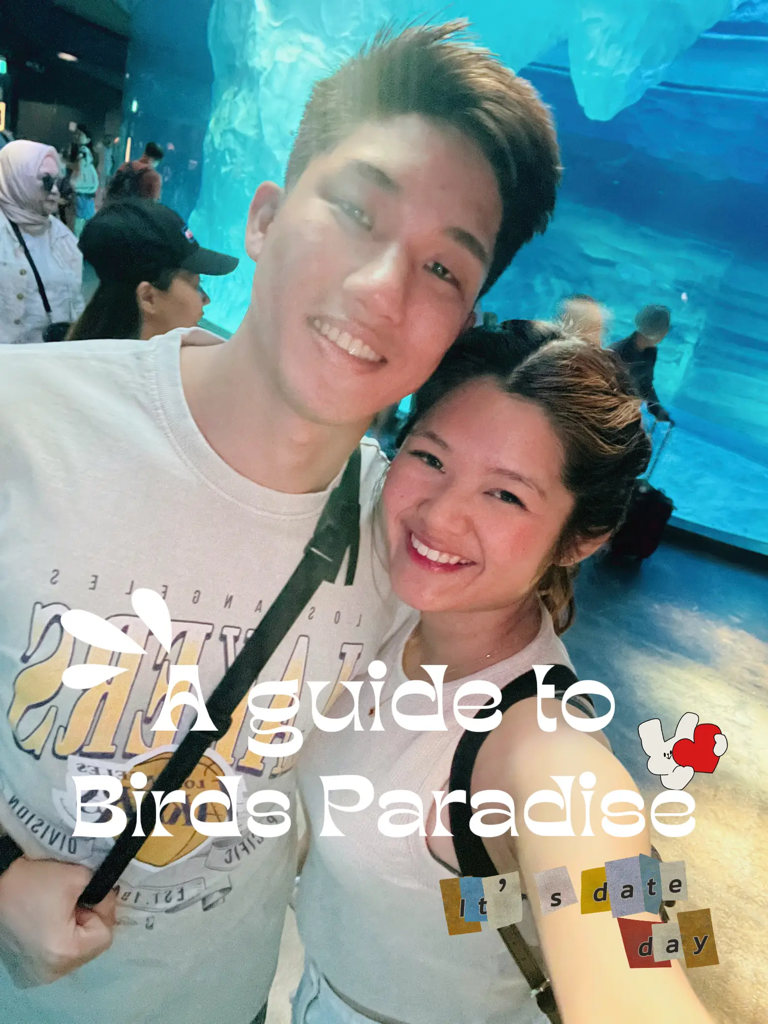 IS BIRDS PARADISE WORTH YOUR PENNY | แกลเลอรีที่โพสต์โดย Bel 💐 | Lemon8