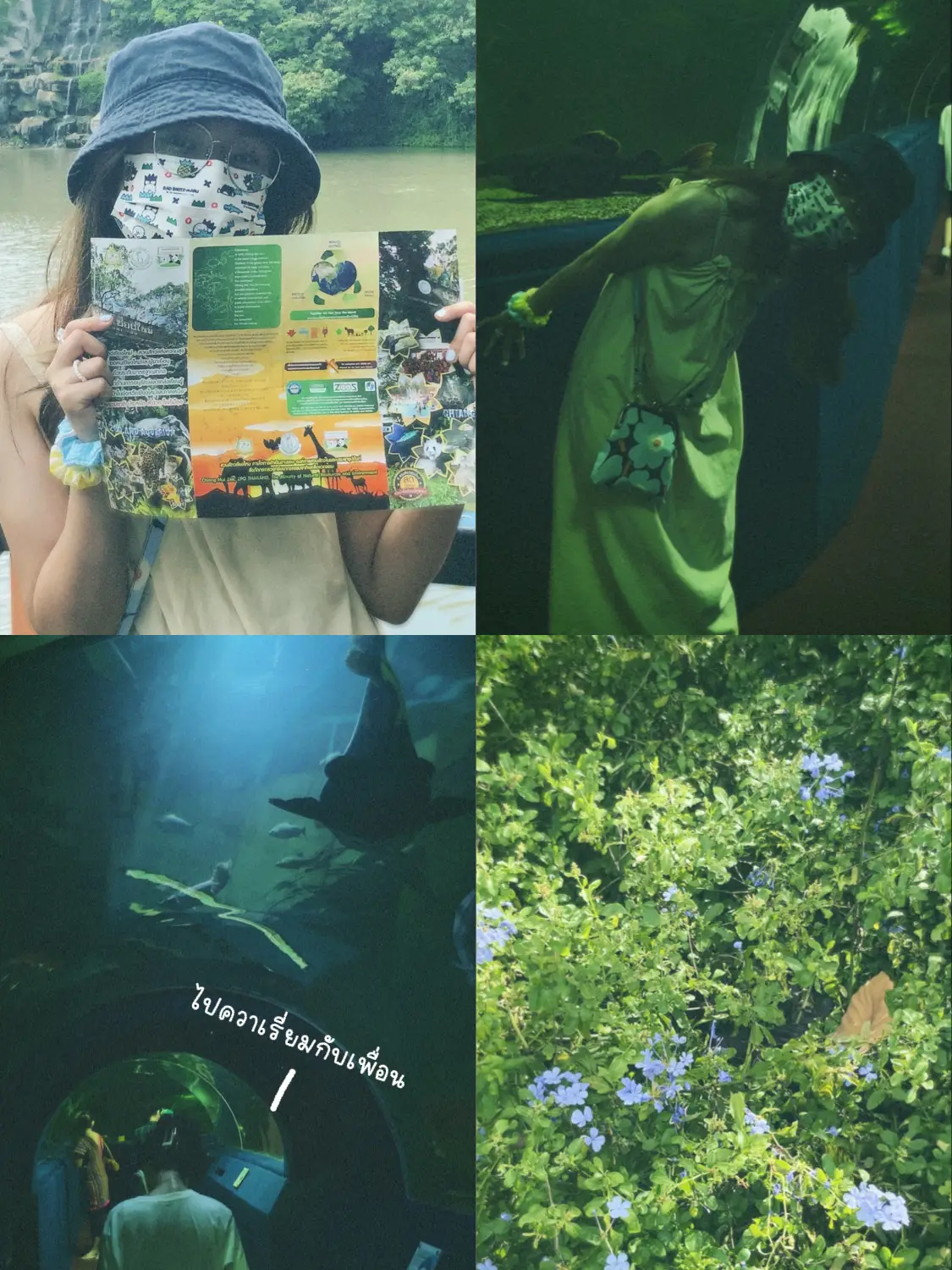 my heart film - การค้นหาใน Lemon8