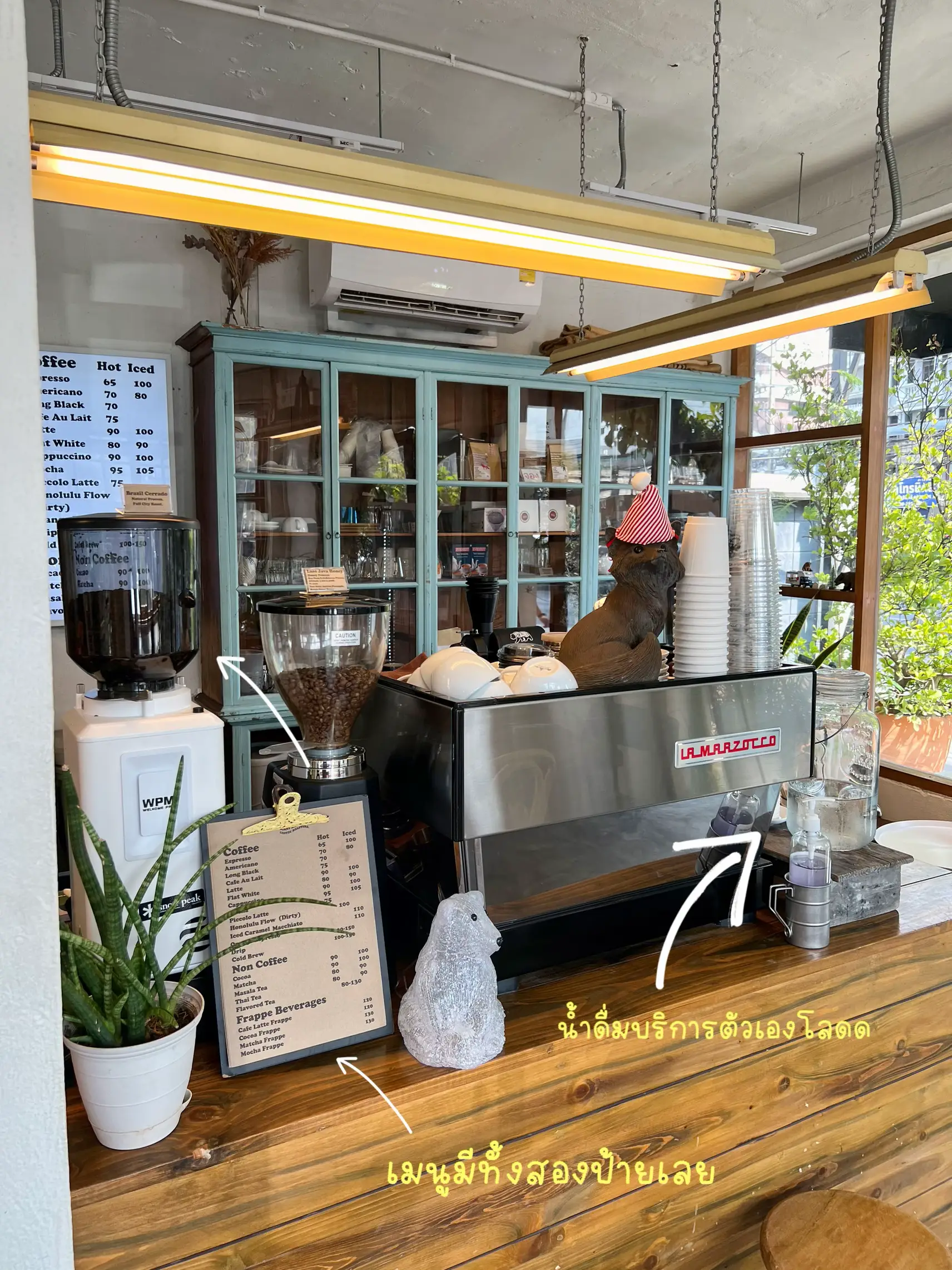 Sunny bear coffee roaster 🥧 | แกลเลอรีที่โพสต์โดย Wasa | Lemon8