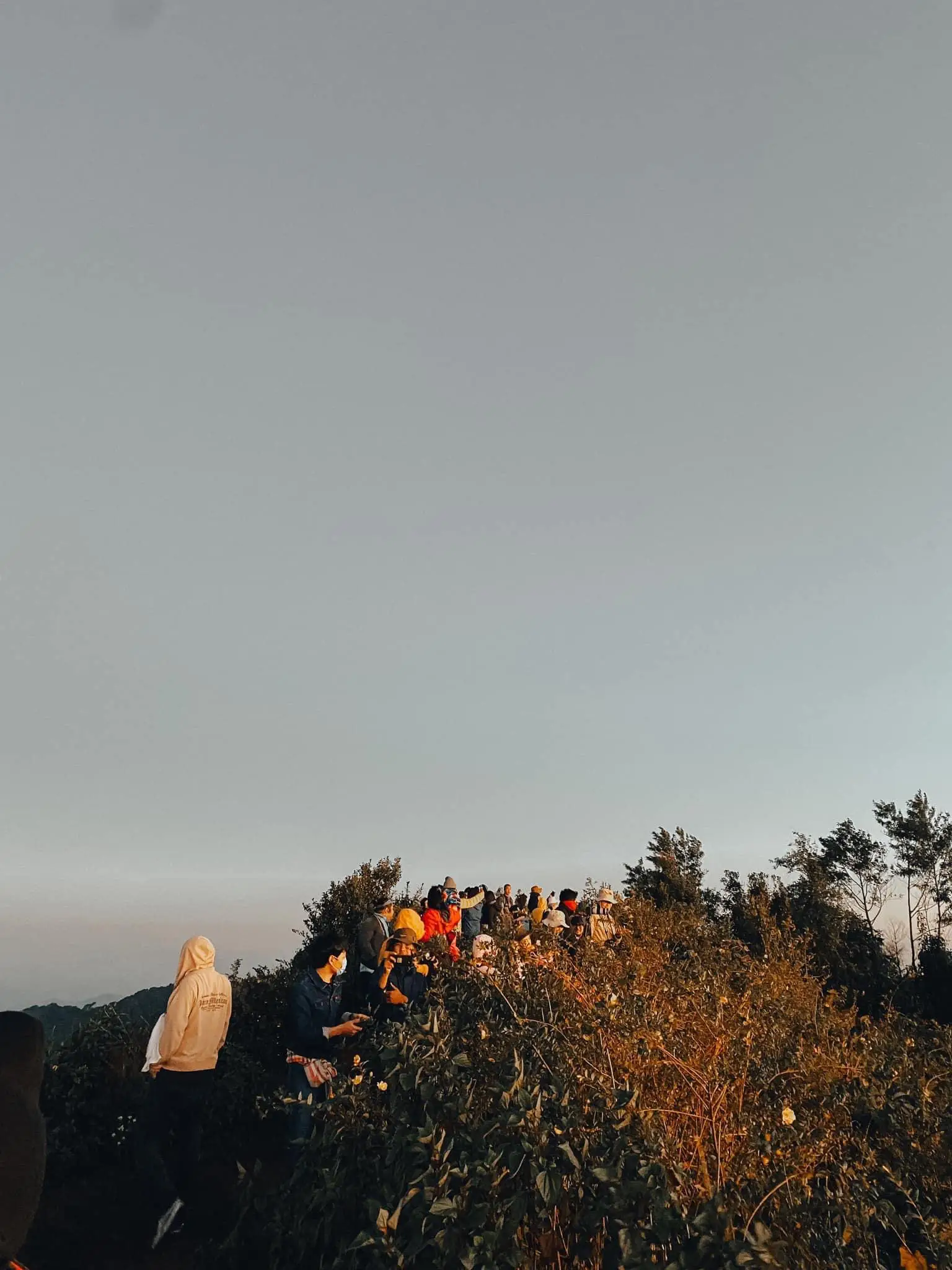 ดอยผ้าห่มปก ที่สุดของความหนาว | แกลเลอรีที่โพสต์โดย Nit Niramon | Lemon8