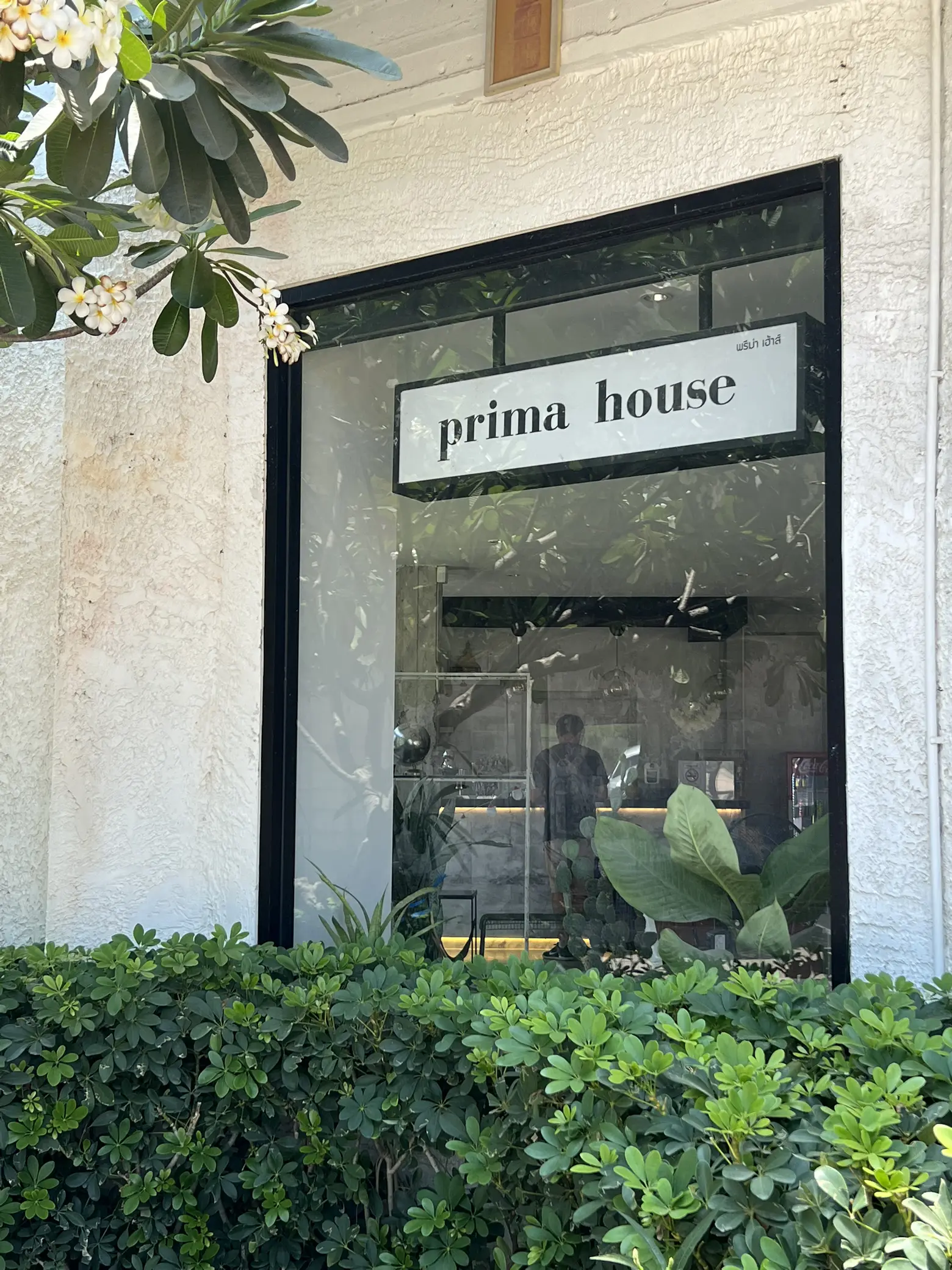 รีวิวที่พักพัทยา คนละ 275 บาท | Prima house pattaya | แกลเลอรีที่โพสต์ ...