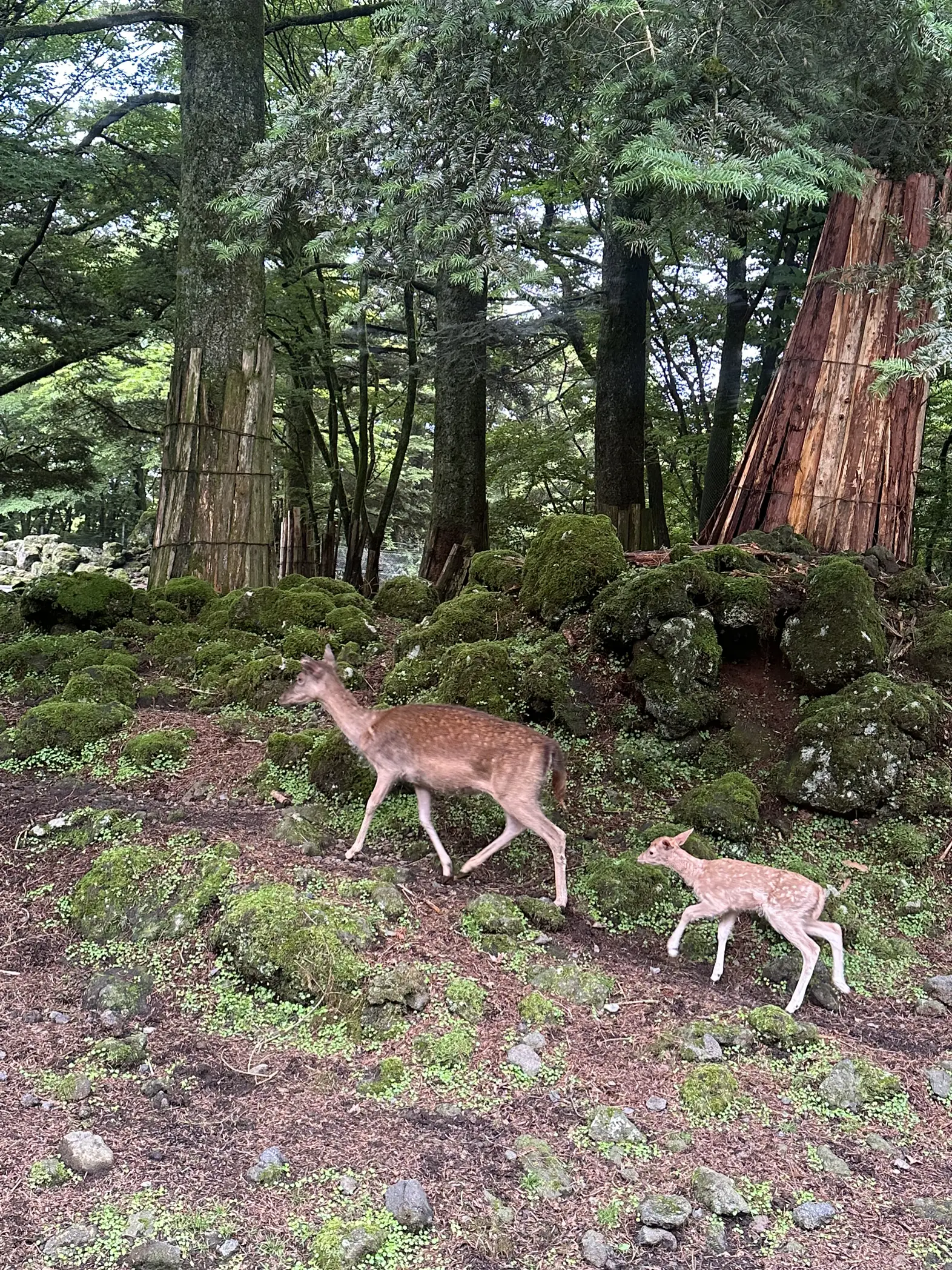 GET UP CLOSE WITH THE MOST VICIOUS PREDATORS !! 😱😱 | Gallery posted by ...