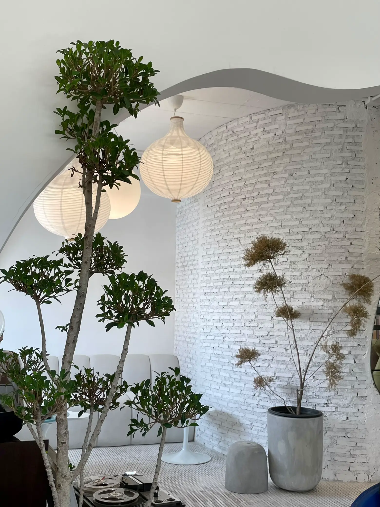 Elttil Cafe คาเฟ่ลับ(ที่ไม่ลับ)ย่านเอแบคบางนา 🖼️ | แกลเลอรีที่โพสต์โดย ...