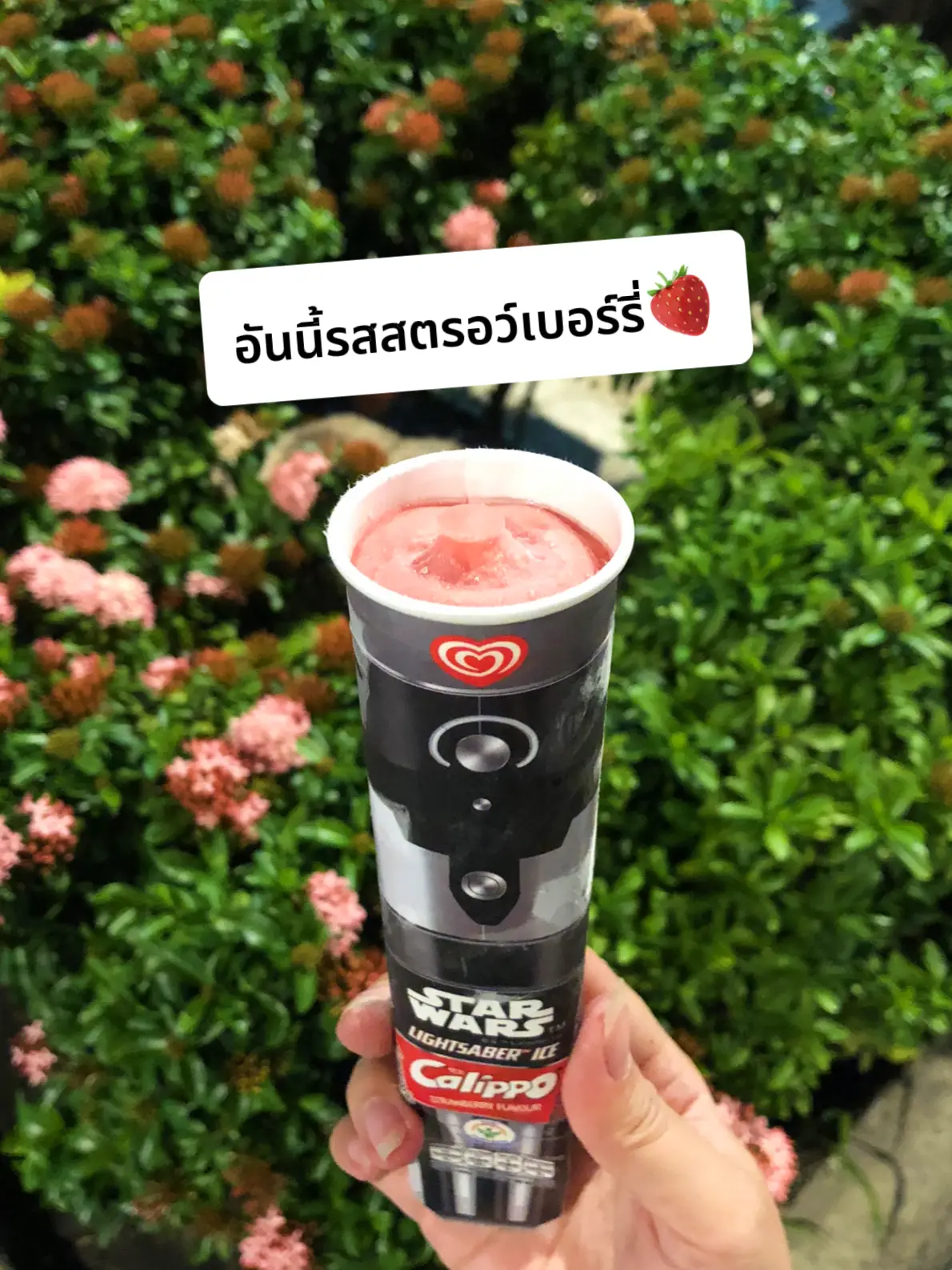 ไอติมวอลล์รสใหม่ | แกลเลอรีที่โพสต์โดย jxngksm | Lemon8