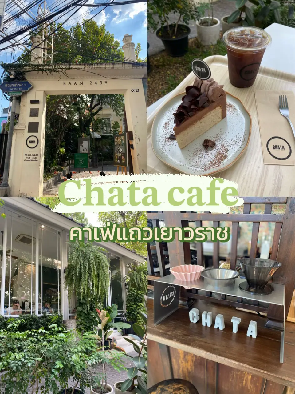 ‘𝐂𝐡𝐚𝐭𝐚 𝐬𝐩𝐞𝐜𝐢𝐚𝐥𝐭𝐲 𝐜𝐨𝐟𝐟𝐞𝐞 ‘ คาเฟ่ร่มรื่นแถวเยาวราช | แกลเลอรีที่โพสต์โดย ...