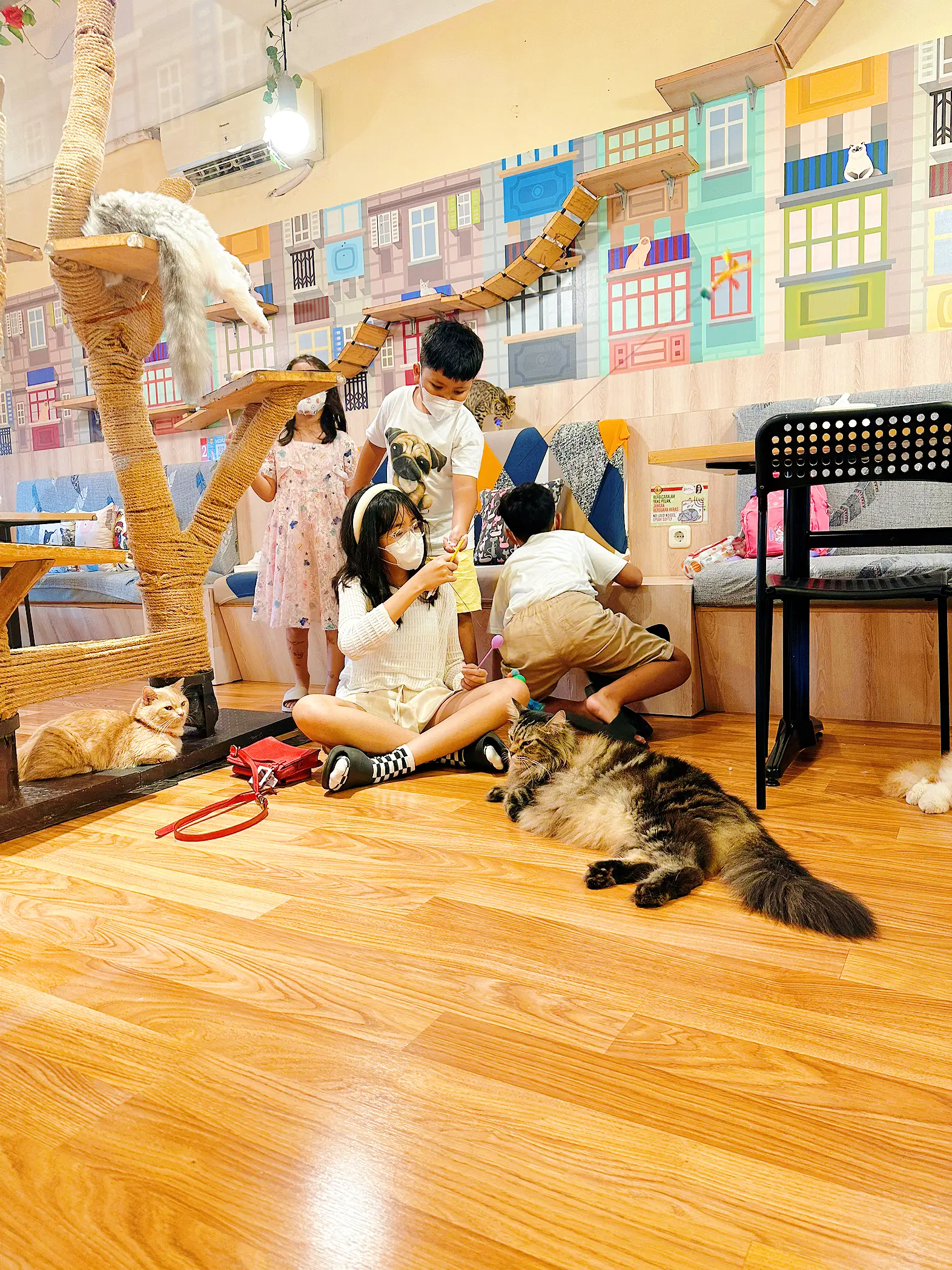 Kopi Cat Cafe by Groovy | Galeri diposting oleh Tirza Vivien | Lemon8