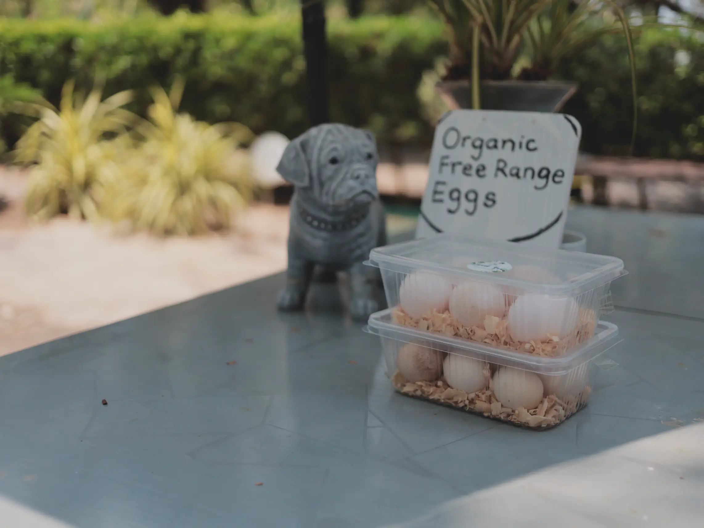 🫘หัวหินเป็นถิ่นมีถั่ว-คาเฟ่สายครอบครัวต้องลองมา🏠💕 | แกลเลอรีที่โพสต์โดย ...