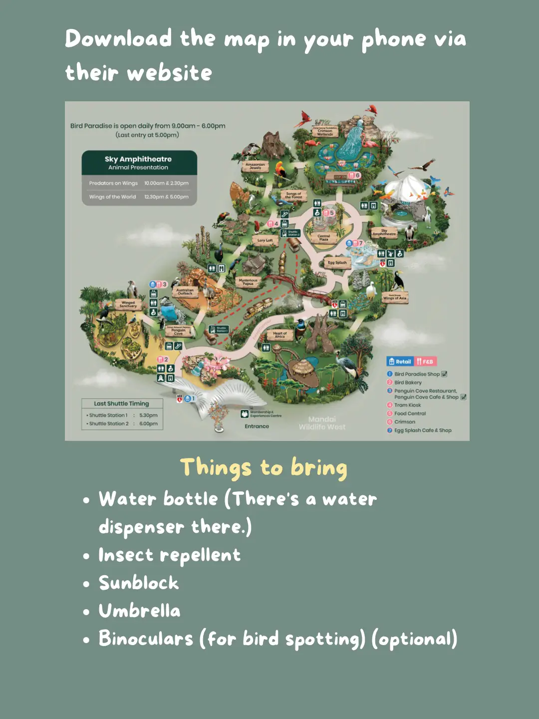 Your ultimate guide to BIRD PARADISE, Singapore | Gallery posted by ...