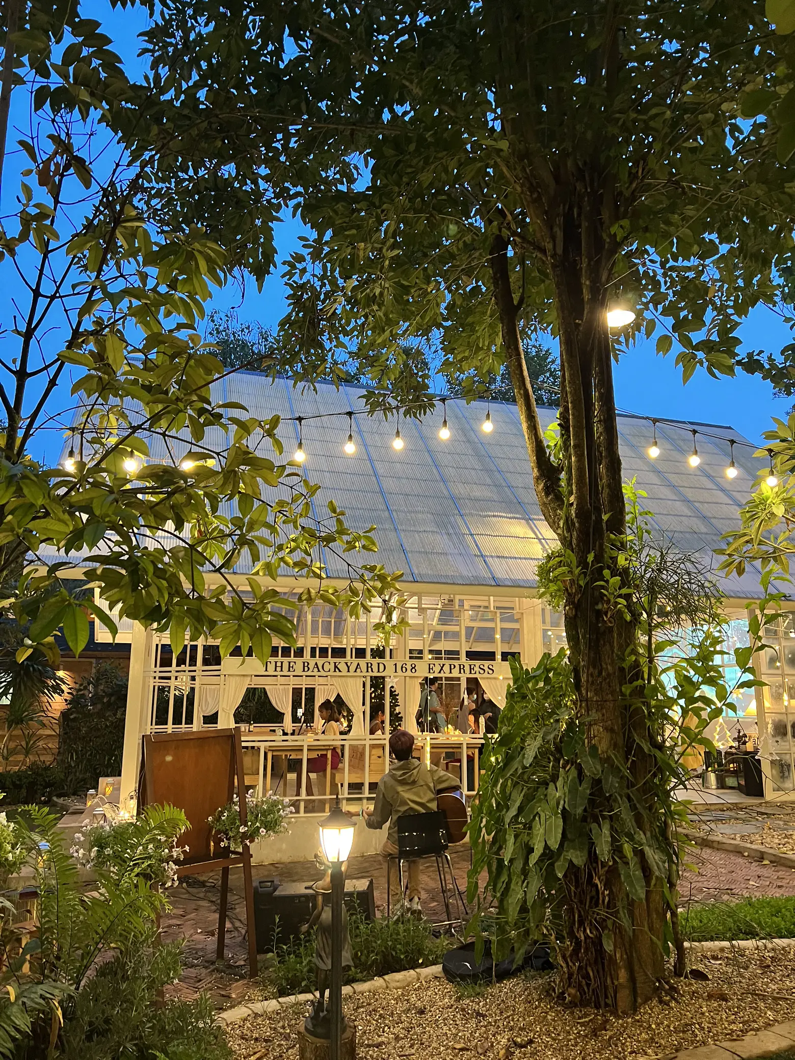 The Backyard 168 🎞️ นอนดูหนัง outdoor สุดโรแมนติก 🧡🤎💚 | แกลเลอรีที่ ...