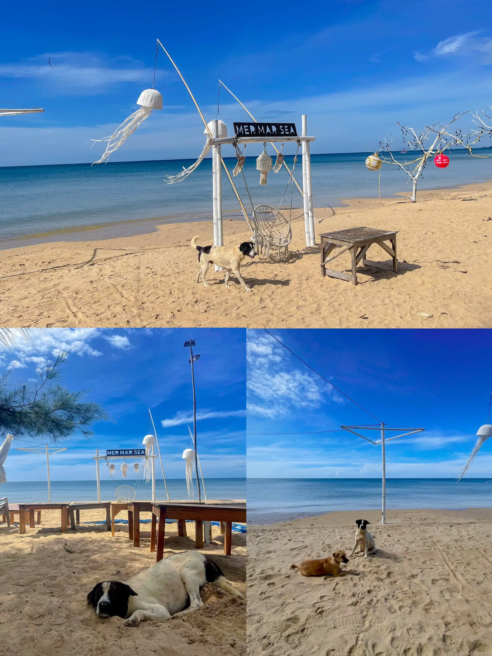 หนีแมวไป 🌙 Mer Mar Sea 💦นอนเต้นท์โดม 🛖 ติดริมทะเล | แกลเลอรีที่โพสต์โดย ...