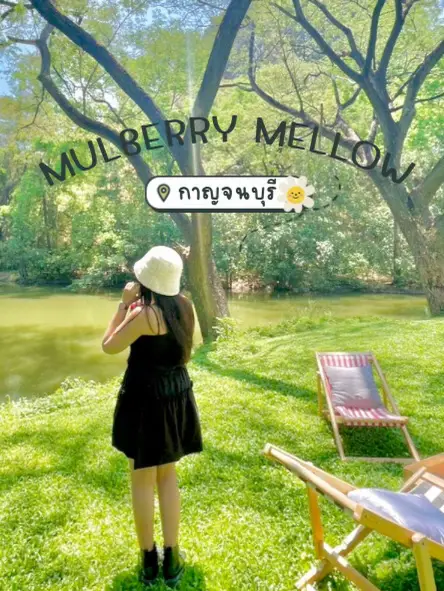 🌳MULBERRY MELLOW คาเฟ่วิวธรรมชาติ กาญจนบุรี📍 | วิดีโอที่เผยแพร่โดย Mellowmood “̮🌷 | Lemon8