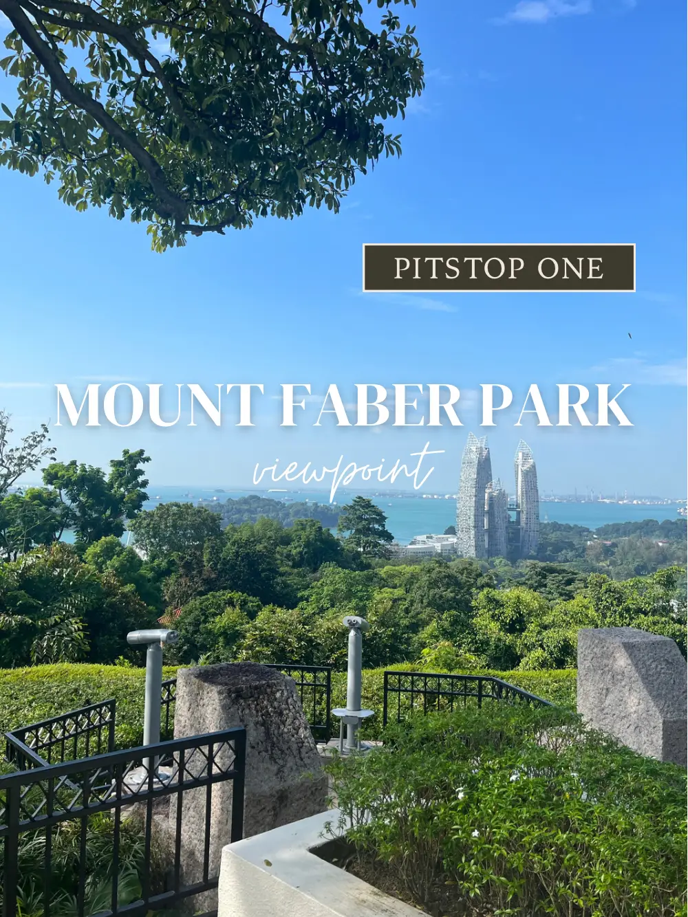 chase haddock - Lemon8 Search