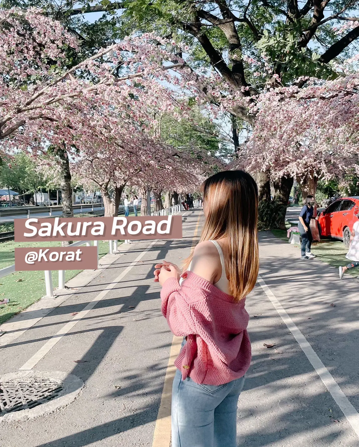 𝙎𝙖𝙠𝙪𝙧𝙖 𝙍𝙤𝙖𝙙 @𝙆𝙤𝙧𝙖𝙩 🌸🌸 | แกลเลอรีที่โพสต์โดย Natt | Lemon8