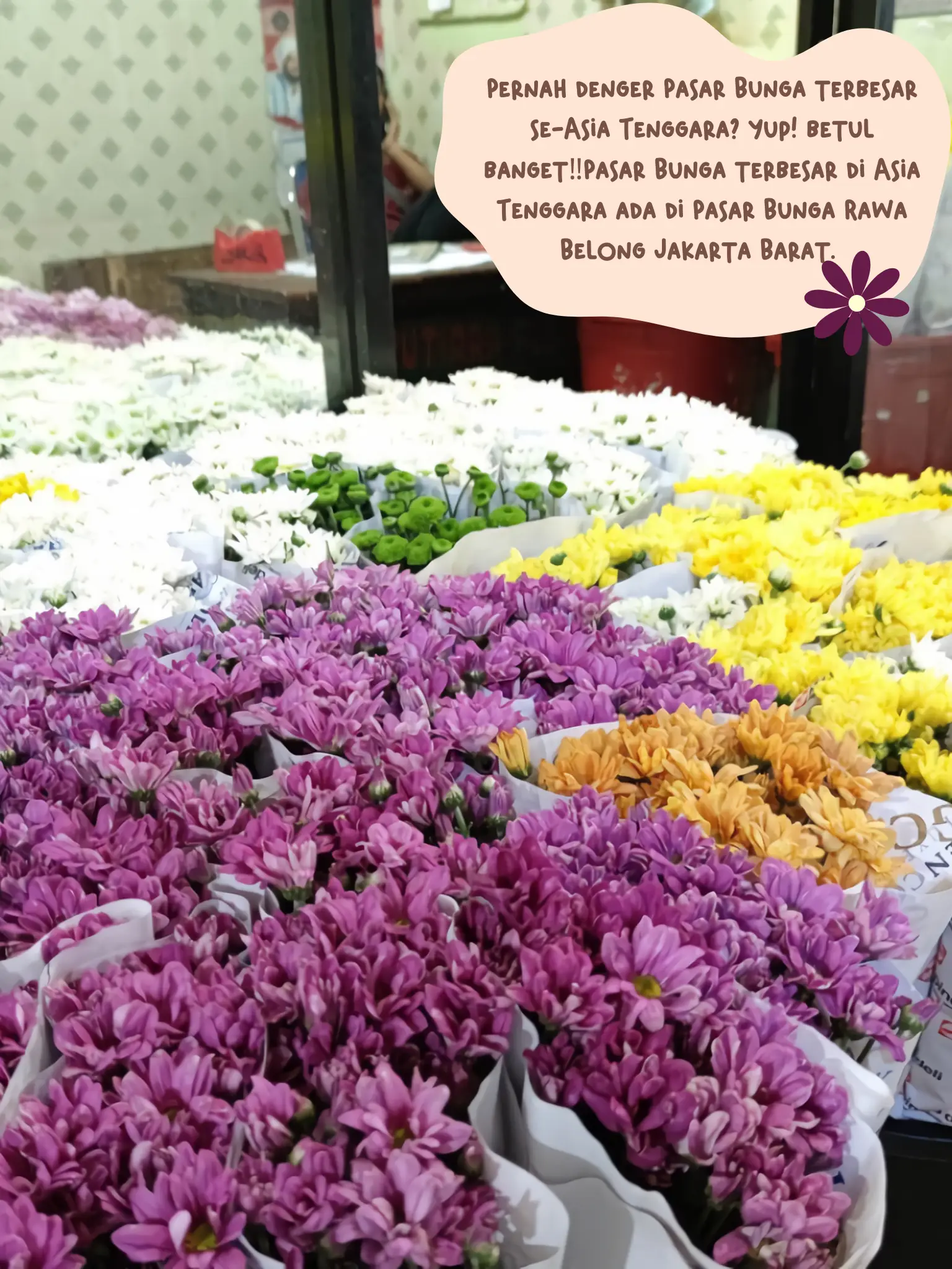 19 ide ตลาด teratas di 2024