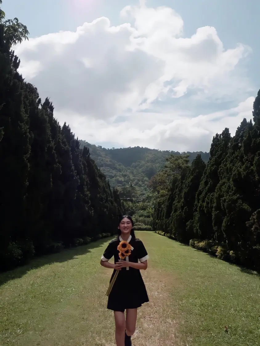 Cypress Lanes คาเฟ่สไตล์ยุโรป🌲🌲 | แกลเลอรีที่โพสต์โดย Moji | Lemon8