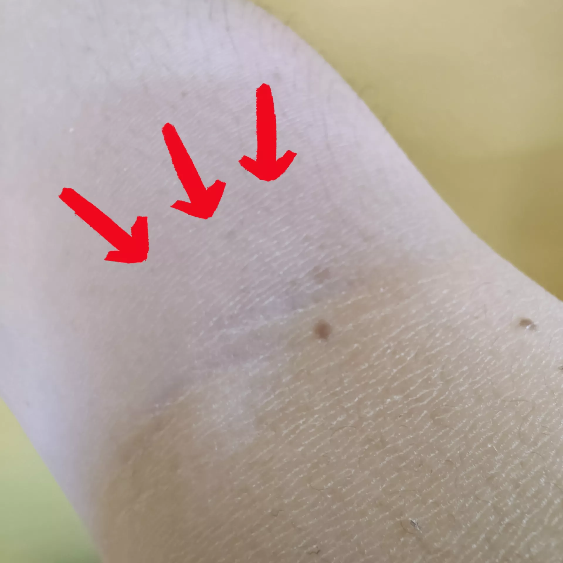 【REVIEW】ANJO PROFESSIONAL | แกลเลอรีที่โพสต์โดย Daniel Tho | Lemon8