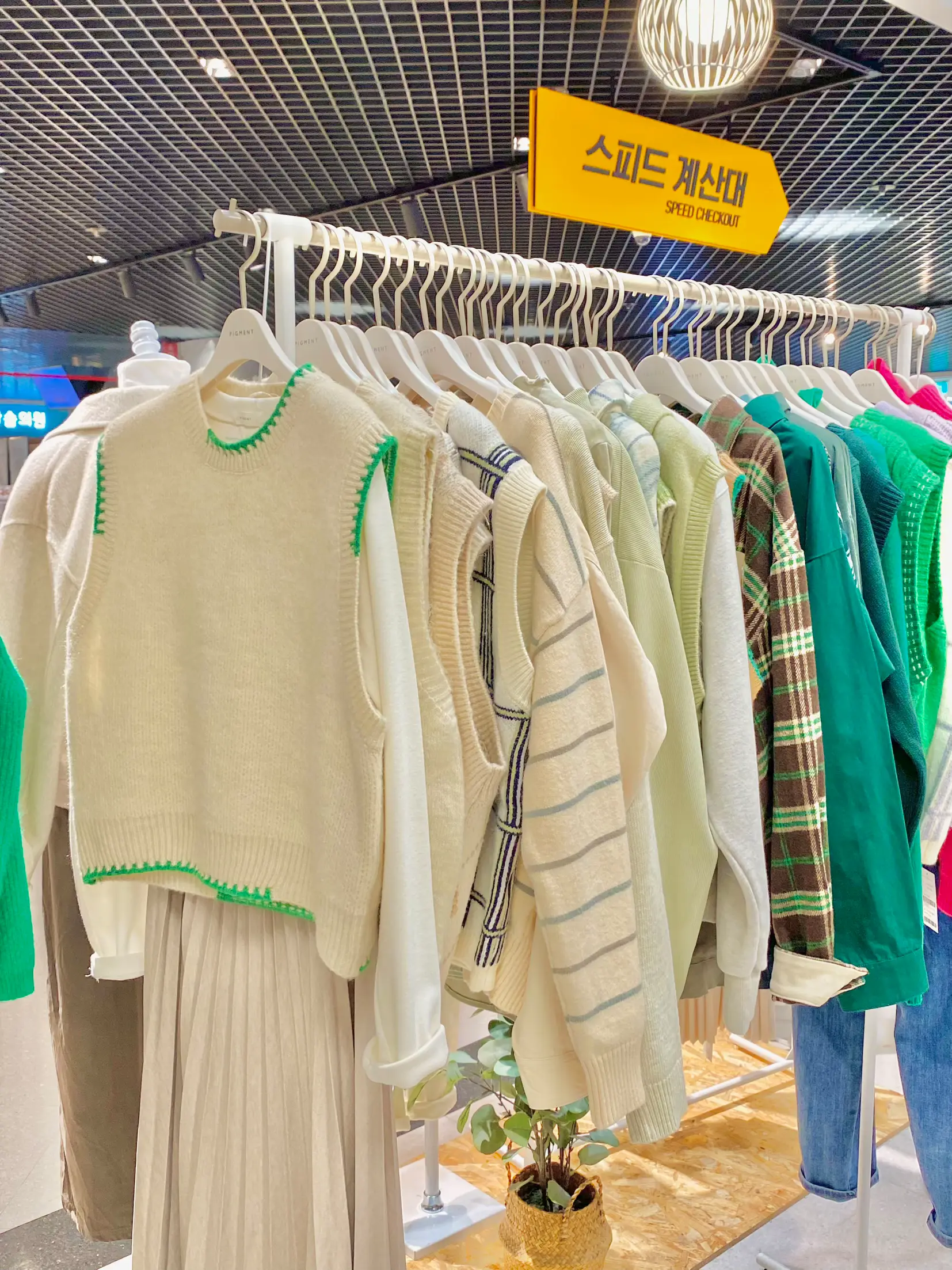 PIGMENT The most popular fashion clothing store in South Korea ...