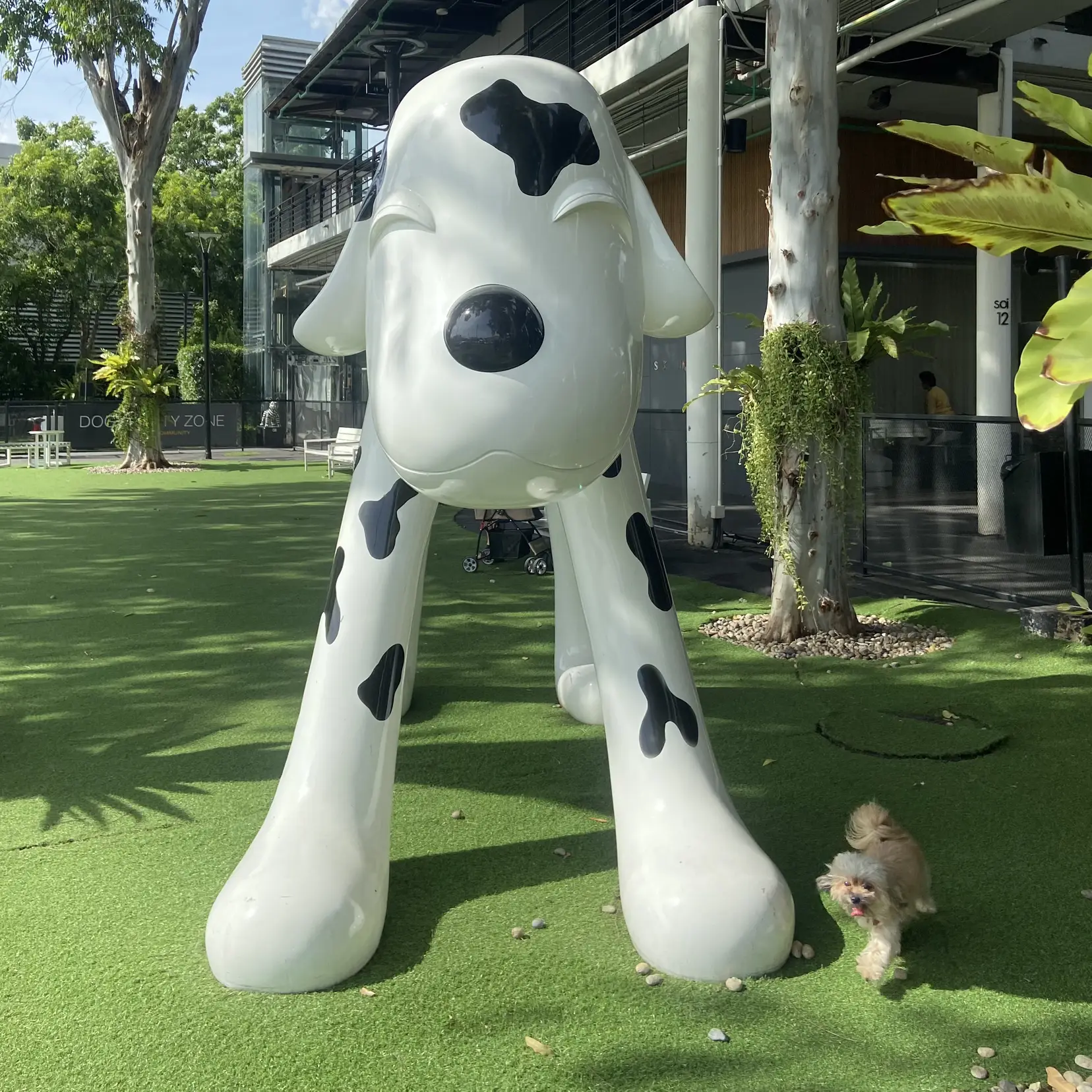 CDC Pet Park 💖🐾 พื้นที่ฟรีพาน้องหมาวิ่งเล่น | แกลเลอรีที่โพสต์โดย Rasarinrosielyn | Lemon8