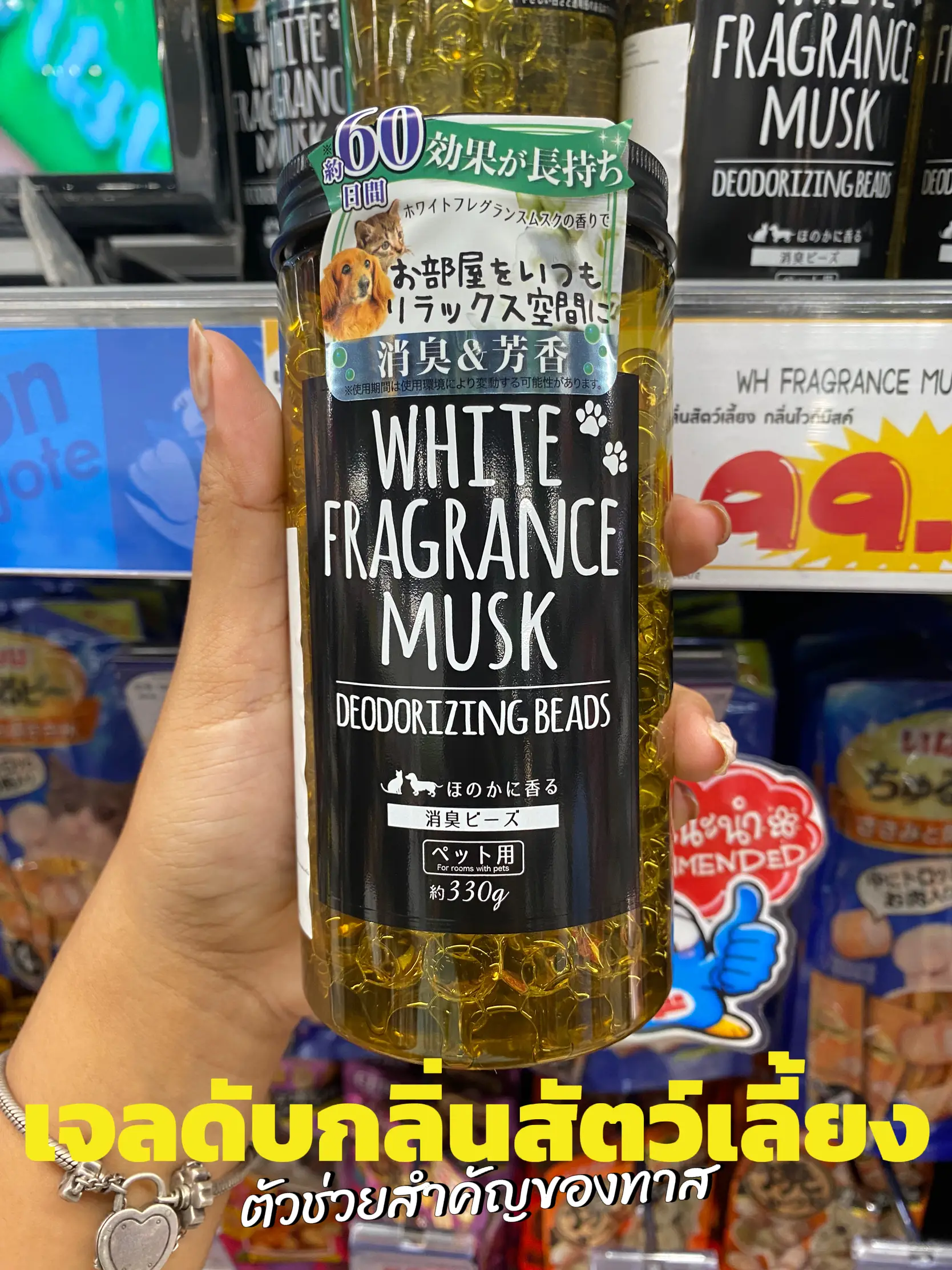 พาส่องโซนสัตว์เลี้ยงที่ Don Don: Donki 😻 | แกลเลอรีที่โพสต์โดย PPun&My ...