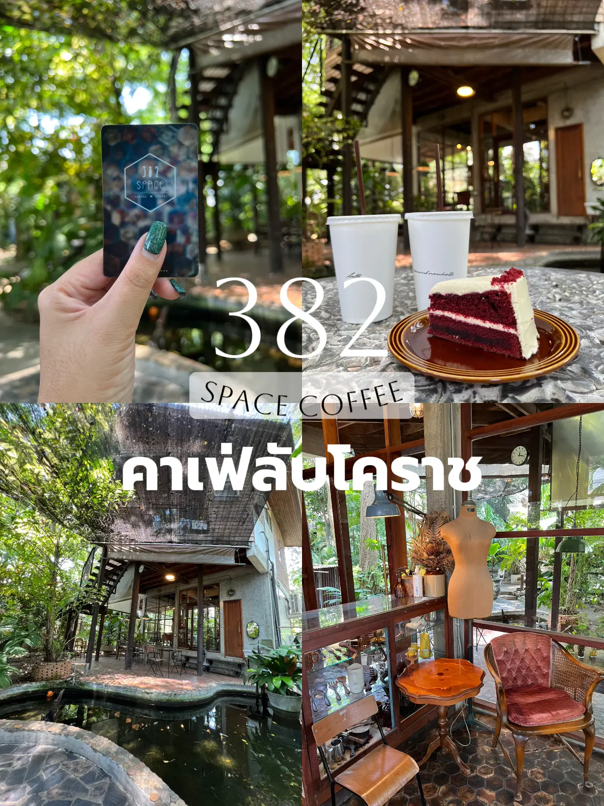 ร้านขนมในเมืองโคราช - การค้นหาใน Lemon8