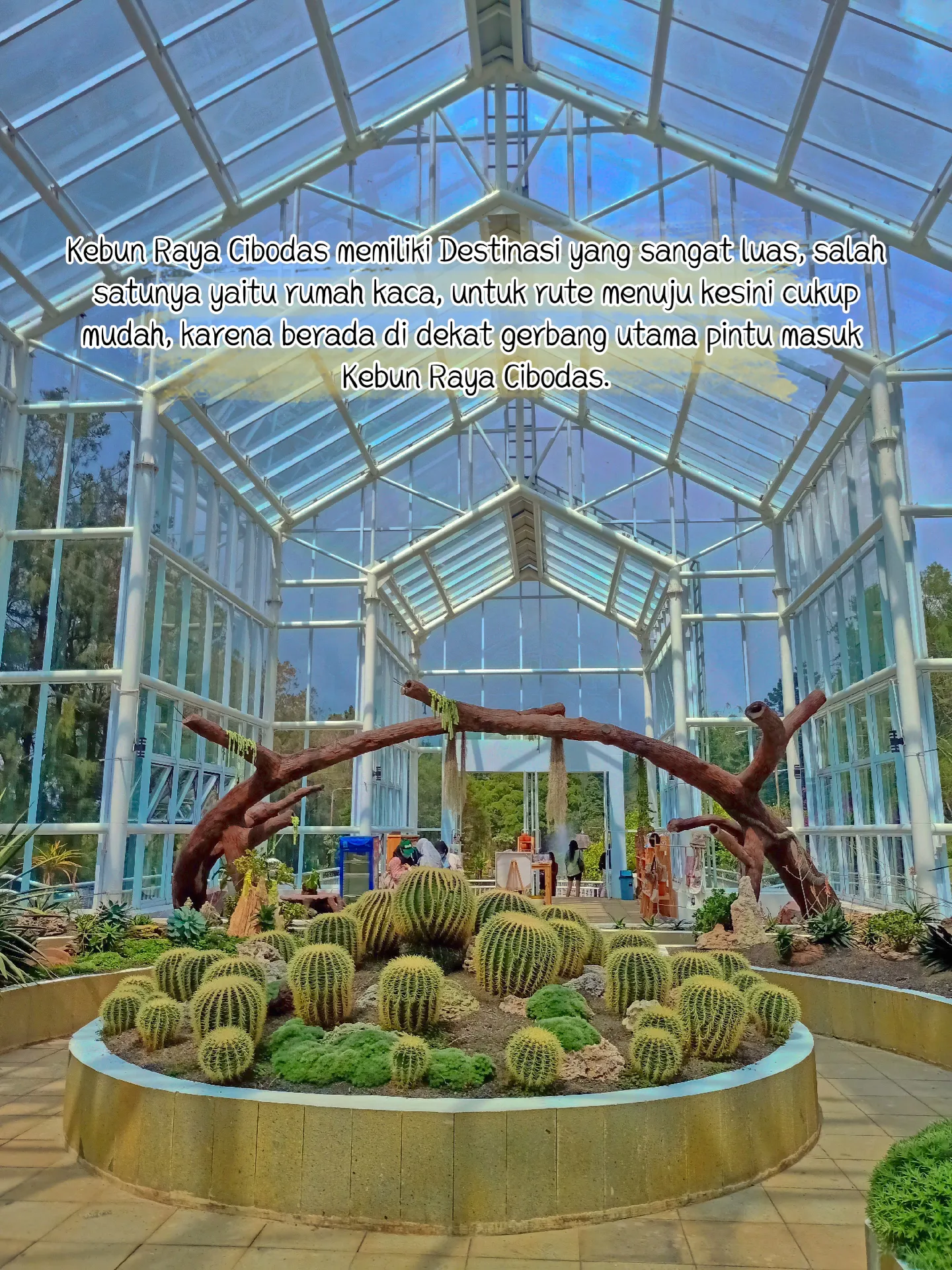 Peta Kebun Raya Cibodas - Pencarian Lemon8