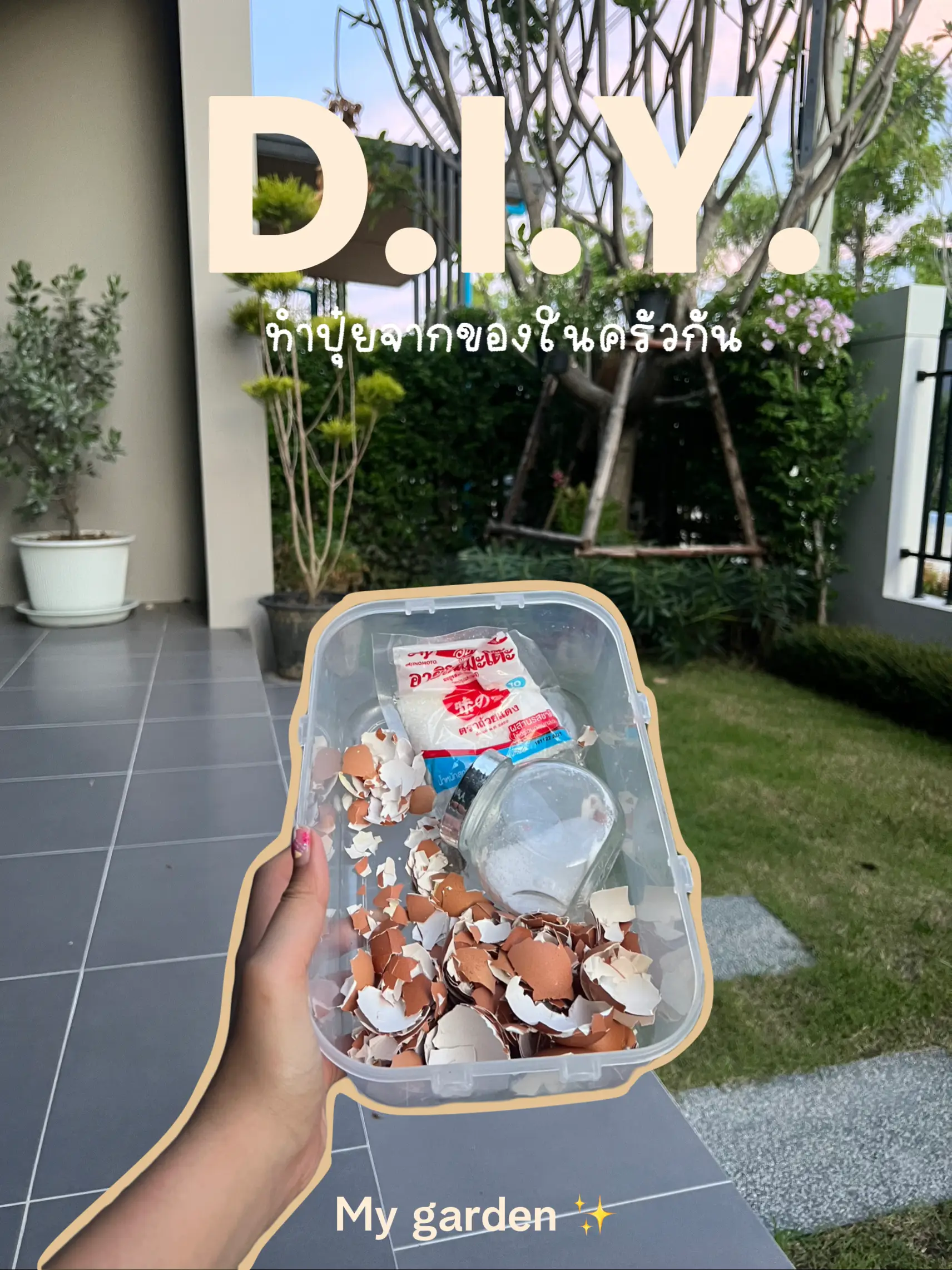 D.I.Y. ปุ๋ยต้นไม้จากของในครัว 📌 | แกลเลอรีที่โพสต์โดย เจ-นี-วา ทำบ้าน | Lemon8