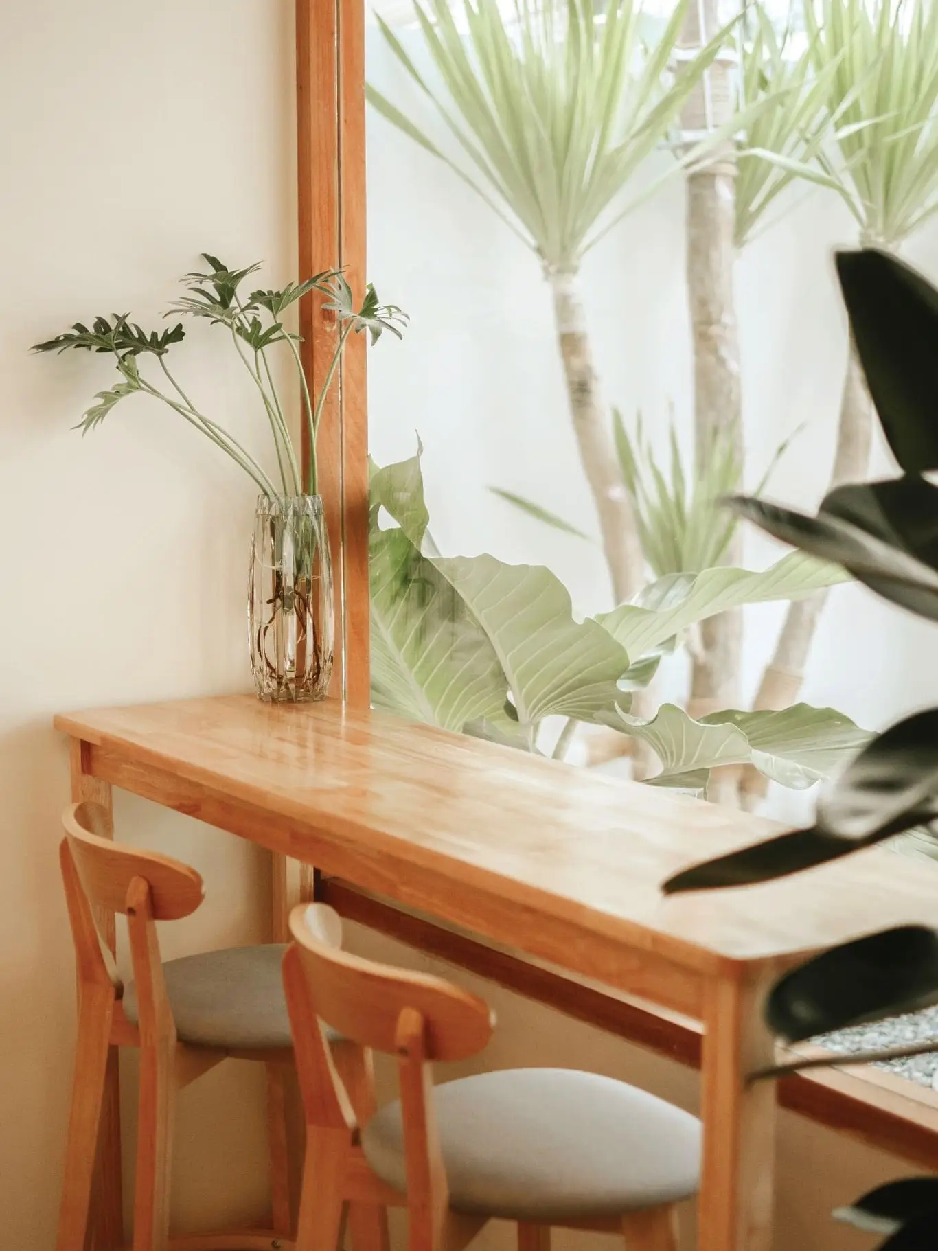 Dear December Cafe ♡ คาเฟ่คิ้วท์ๆ สไตล์มินิมอล | แกลเลอรีที่โพสต์โดย พา ...