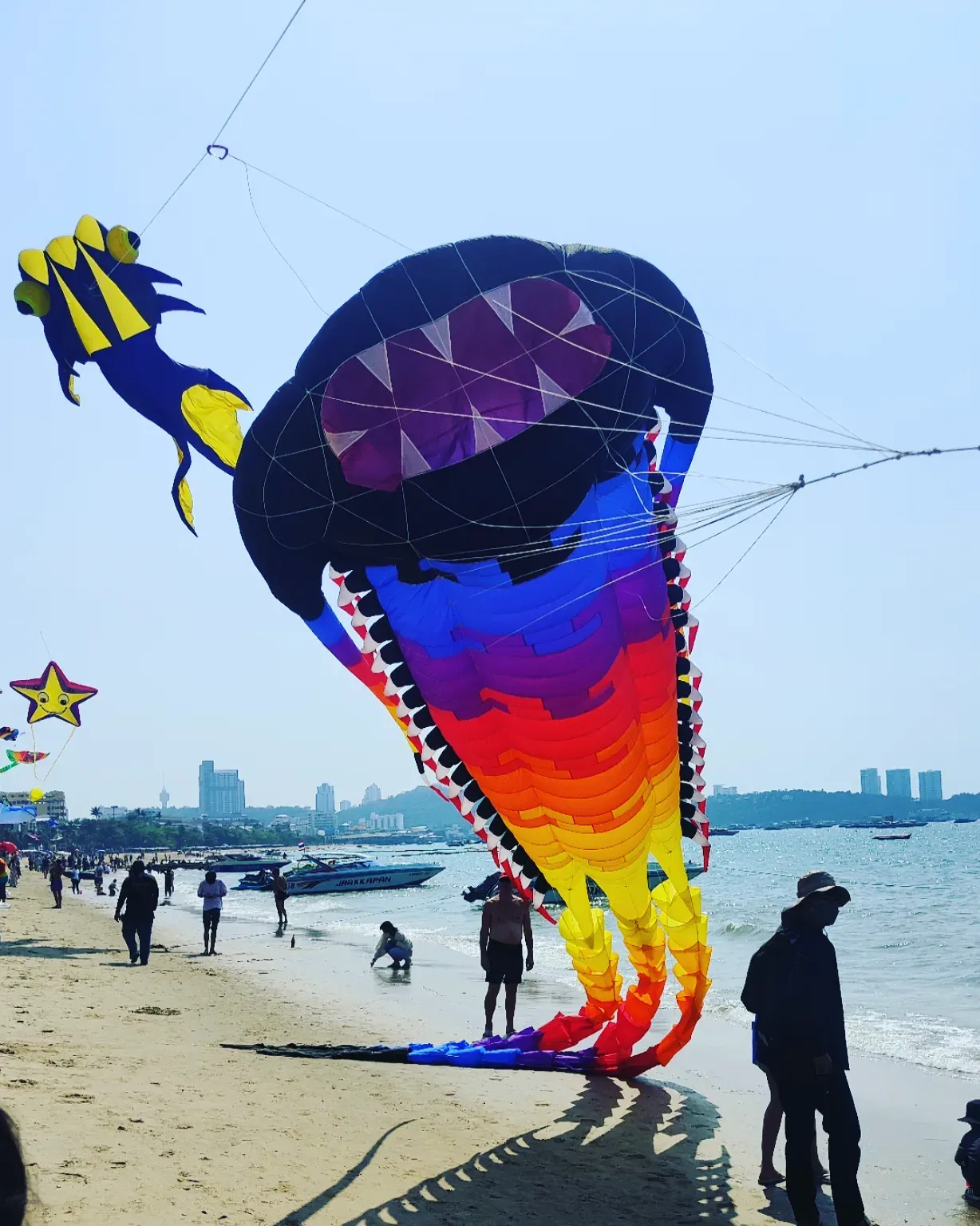 Kites on the Beachเทศกาลว่าวพัทยา ปี 2566 | แกลเลอรีที่โพสต์โดย เที่ยว ...