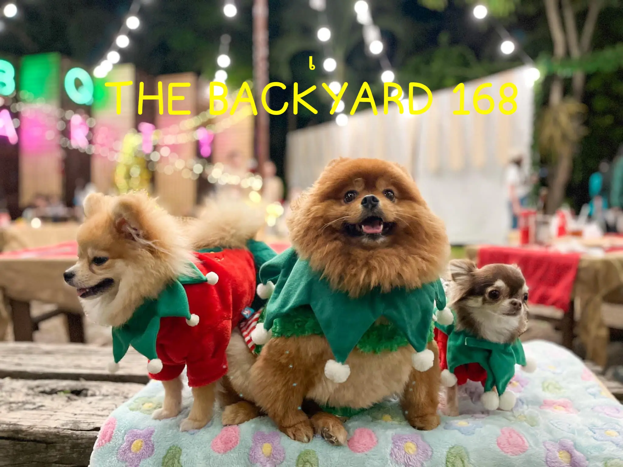บรรยากาศดีดี หมูกระทะอร่อยๆที่ The Backyard 168 เขาใหญ่ | แกลเลอรีที่ ...