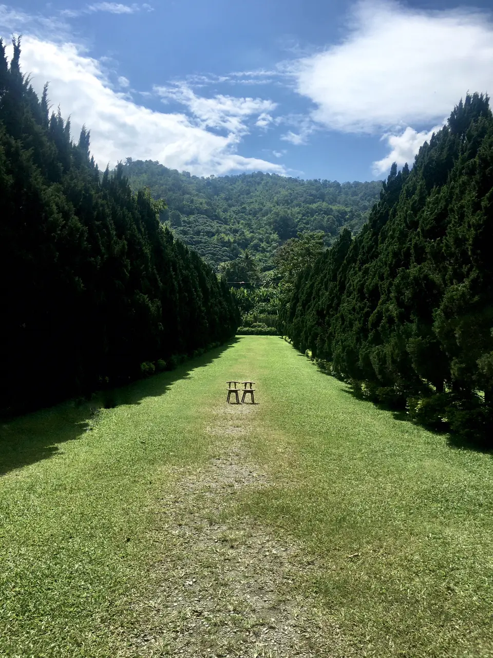 Cypress Lanes คาเฟ่สไตล์ยุโรป🌲🌲 | แกลเลอรีที่โพสต์โดย Moji | Lemon8