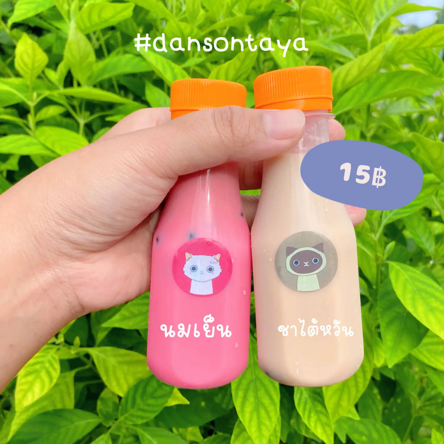 yok.ok11 โพสต์ผลงานแล้ว ดูและย | แกลเลอรีที่โพสต์โดย 11 | Lemon8