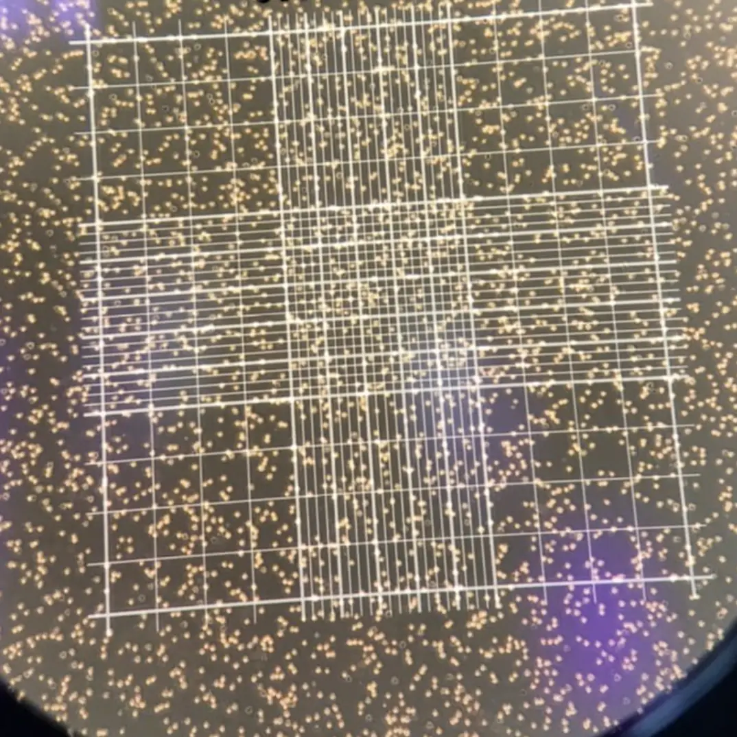 ผู้ช่วยวิจัย ทำอะไรกันบ้าง มาดูกันนนนนนน :3 | แกลเลอรีที่โพสต์โดย มิ้วก ...