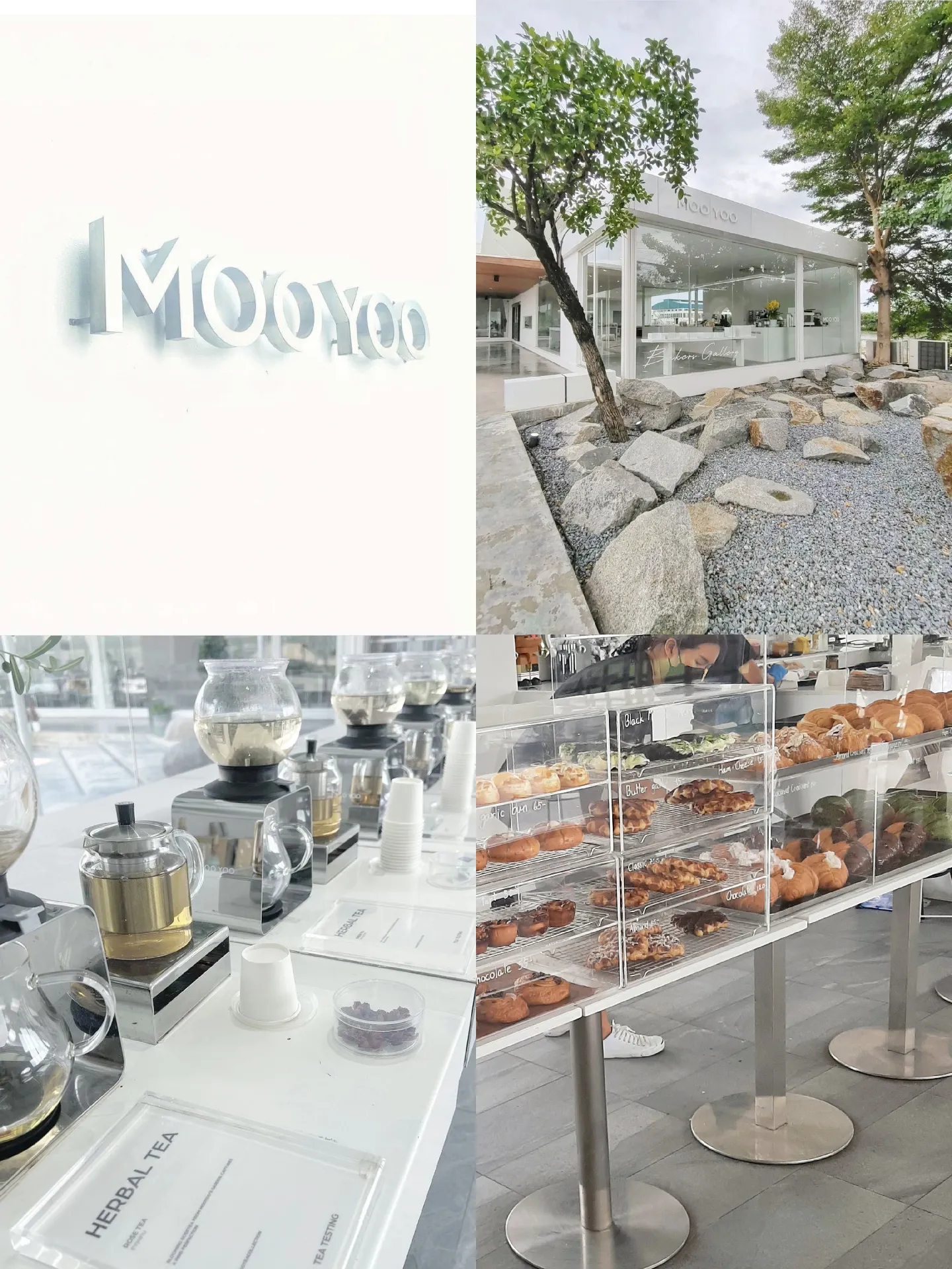 Cafe W/ me #16 - MOO YOO | แกลเลอรีที่โพสต์โดย FPKW_1998 | Lemon8