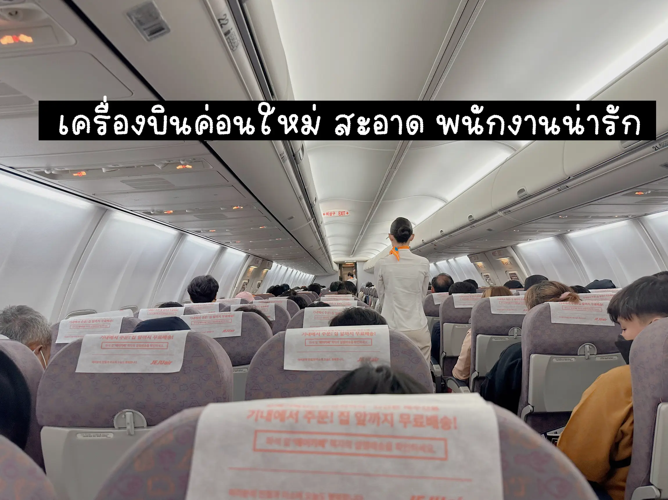 รีวิวสายการบิน JEJUAIR ️🇰🇷 | แกลเลอรีที่โพสต์โดย ʝαɾҽҽ ɯσɾʅԃ ᵕ̈ | Lemon8