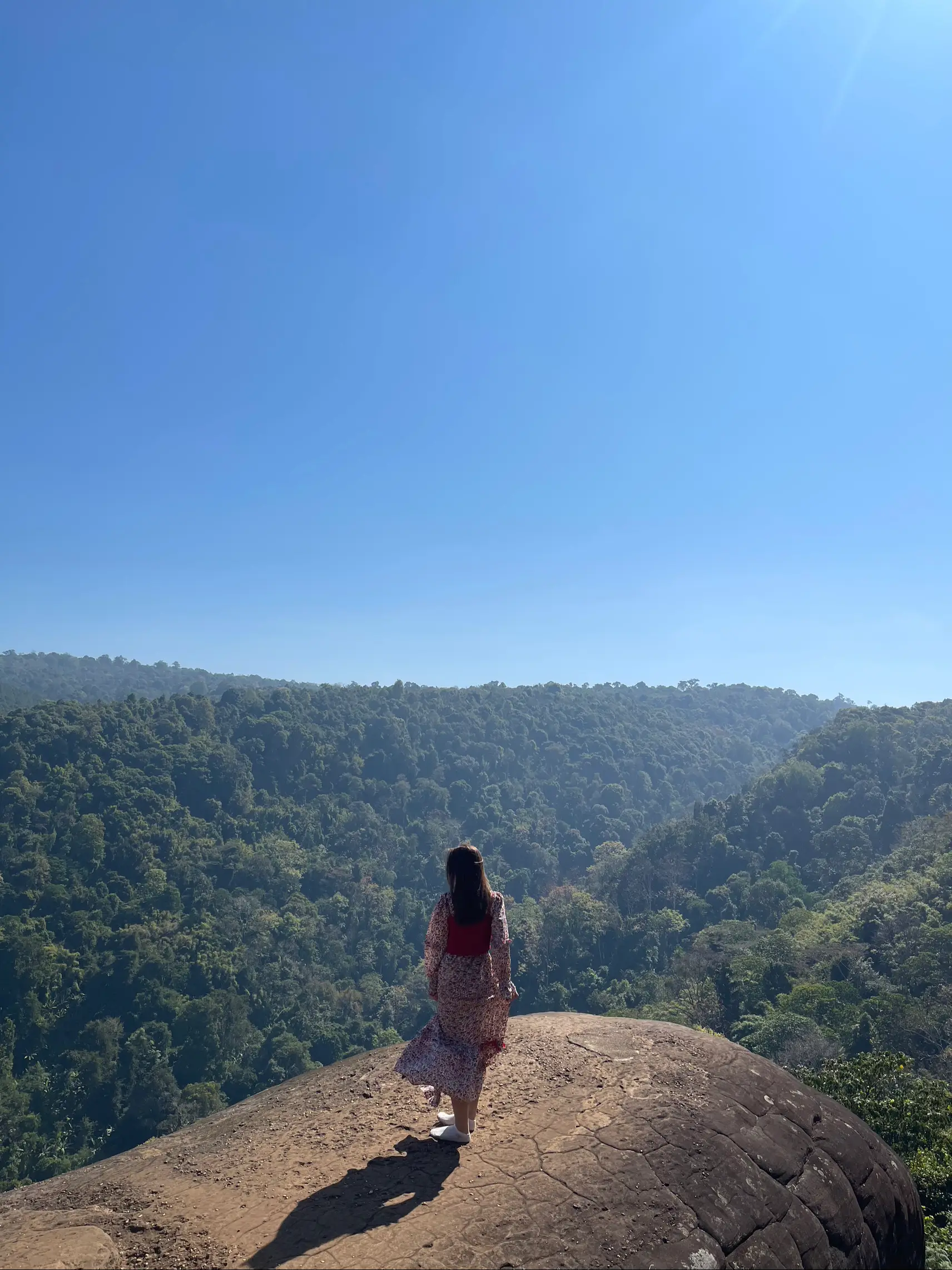 🍃มาสูดอากาศให้ชื่นปอดอีกครั้ง.. | แกลเลอรีที่โพสต์โดย Aomsin.kn | Lemon8