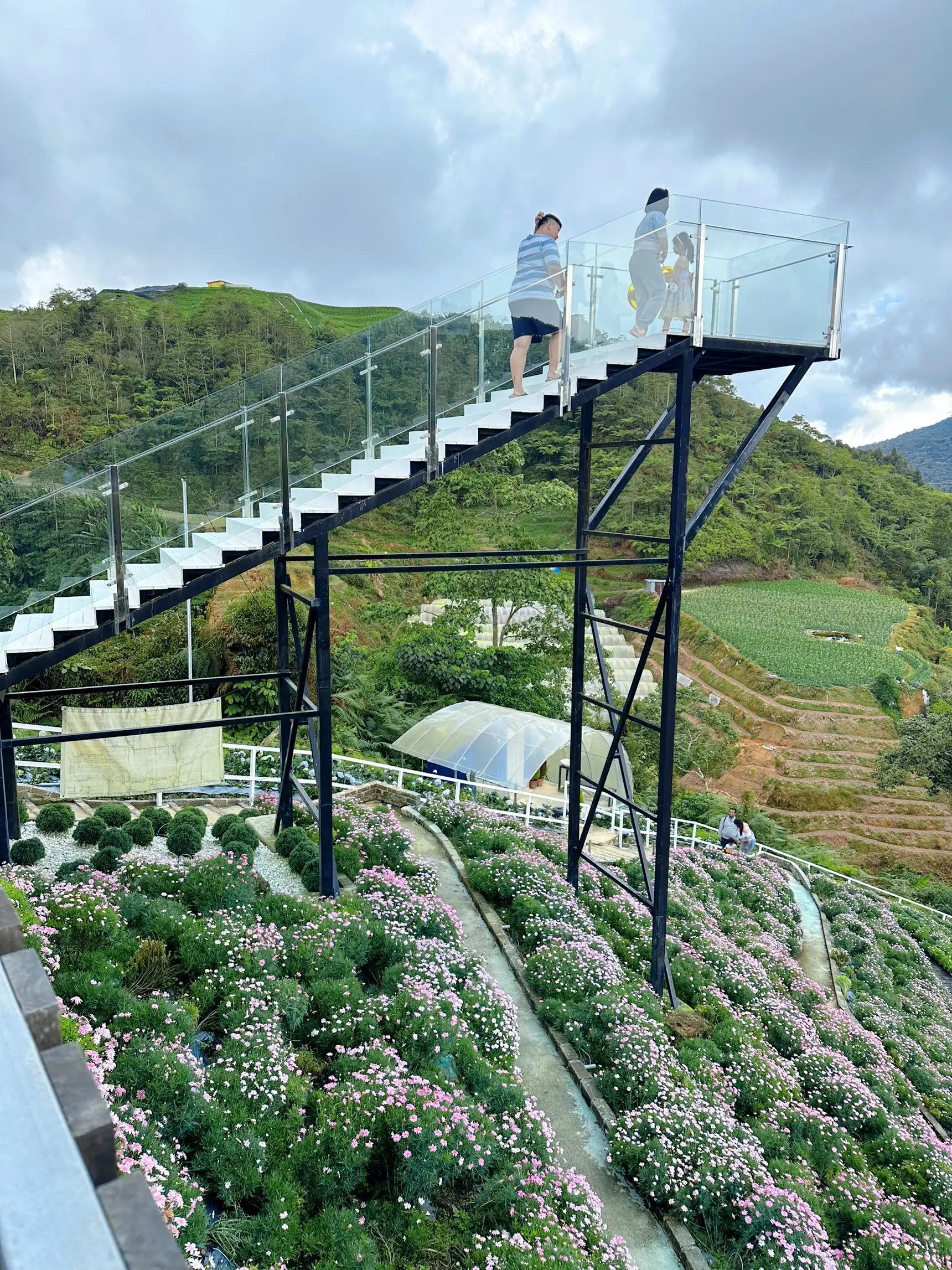 (The View Glass House Cafe Cameron Highlands) | Galeri disiarkan oleh ...