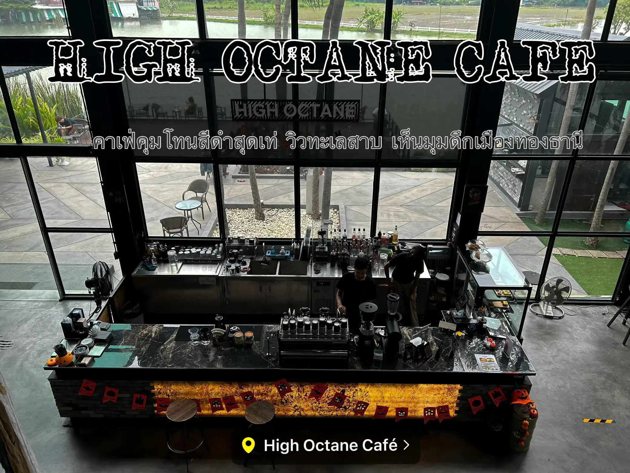 HONNEY CONTI | แกลเลอรีที่โพสต์โดย Ppponder | Lemon8