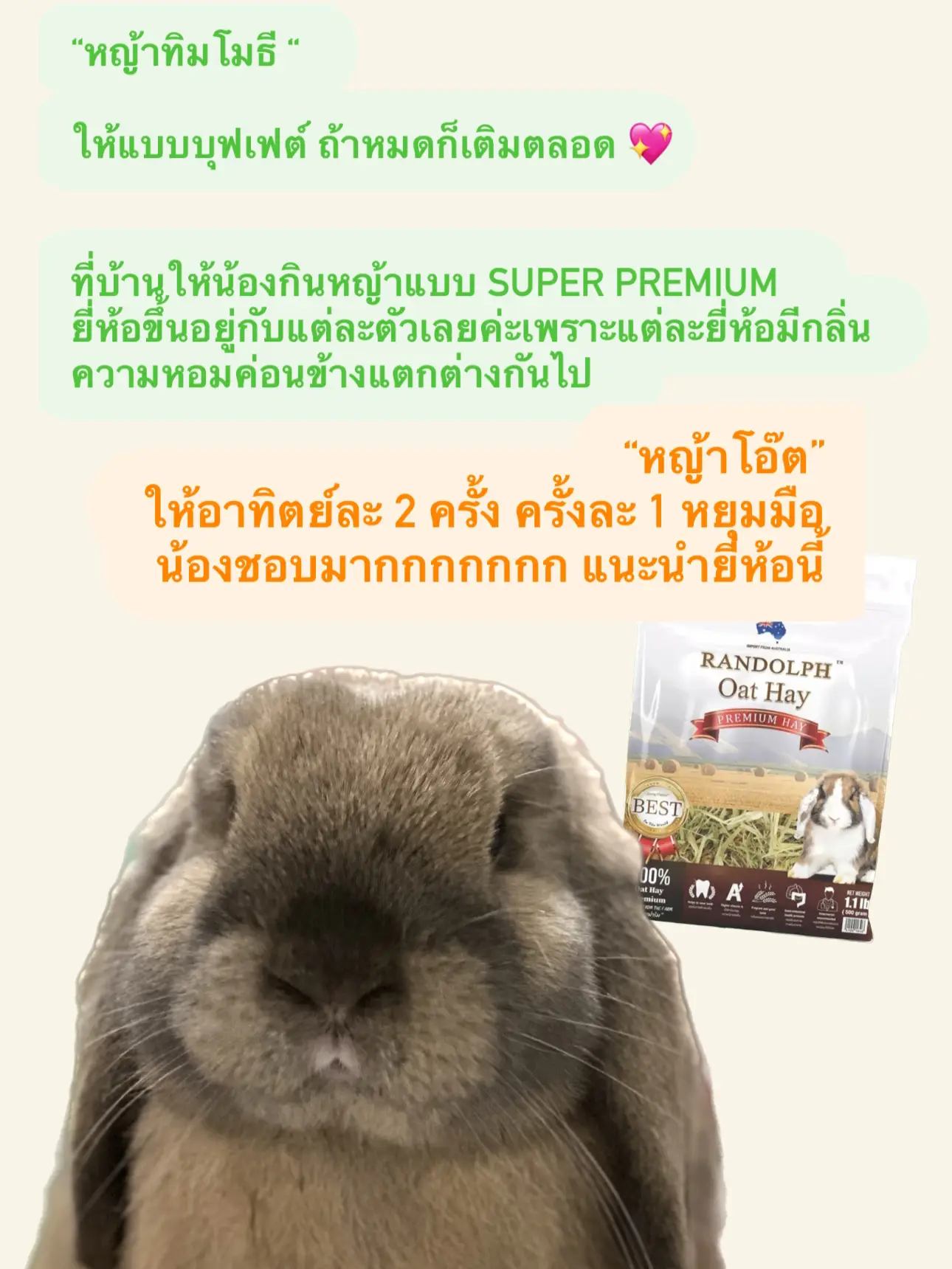 How to eat fat like me | Gallery posted by Benji the bun | Lemon8