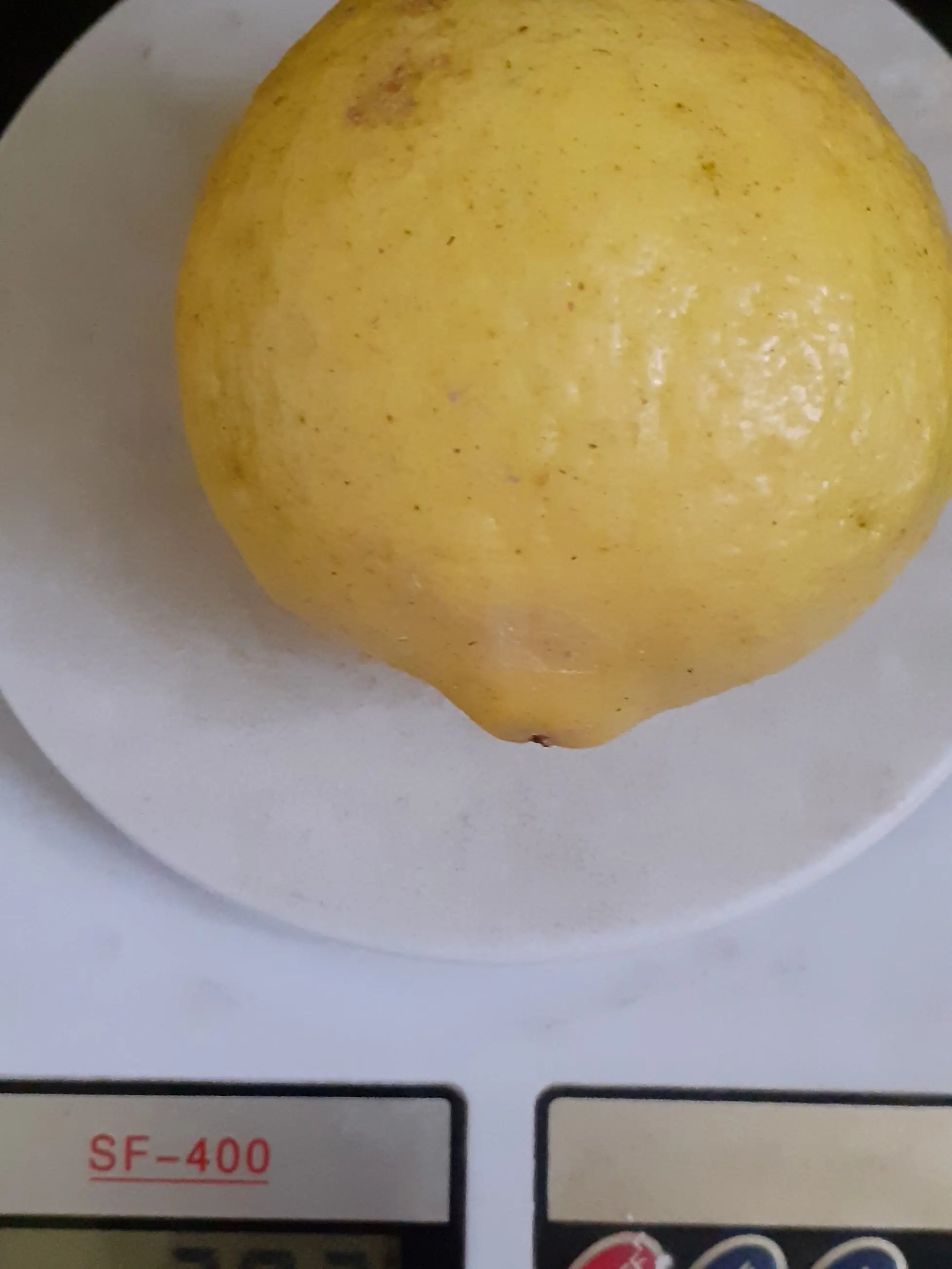 มาแต่งตัวให้ เลม่อนกันเถอะ | แกลเลอรีที่โพสต์โดย Metta Gentle | Lemon8