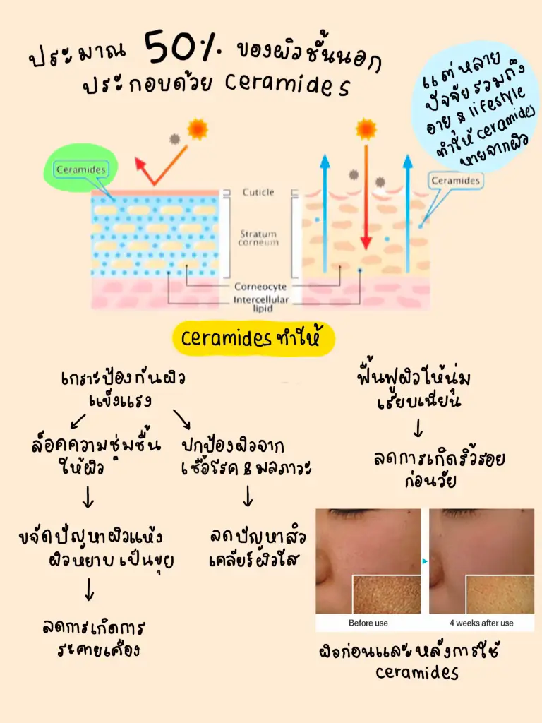 อยากผิวดีต้องมี ceramides 💕 🏻 | แกลเลอรีที่โพสต์โดย beyourbeaut | Lemon8