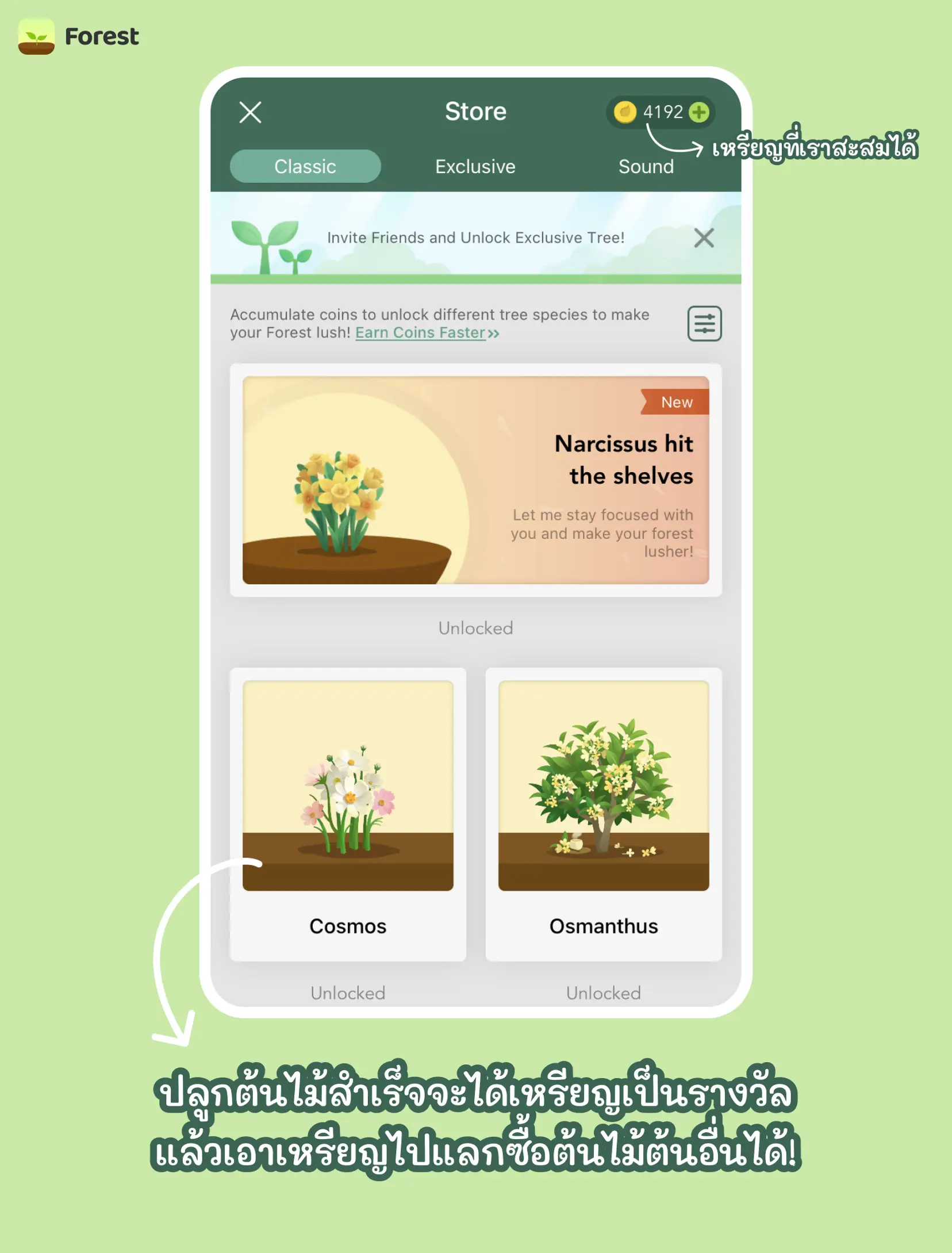 Forest App ปลูกต้นไม้บนแอพ โฟกัสการทำงานกัน! 🌱🪴🌸 | แกลเลอรีที่โพสต์โดย unun.inappland🪄 | Lemon8