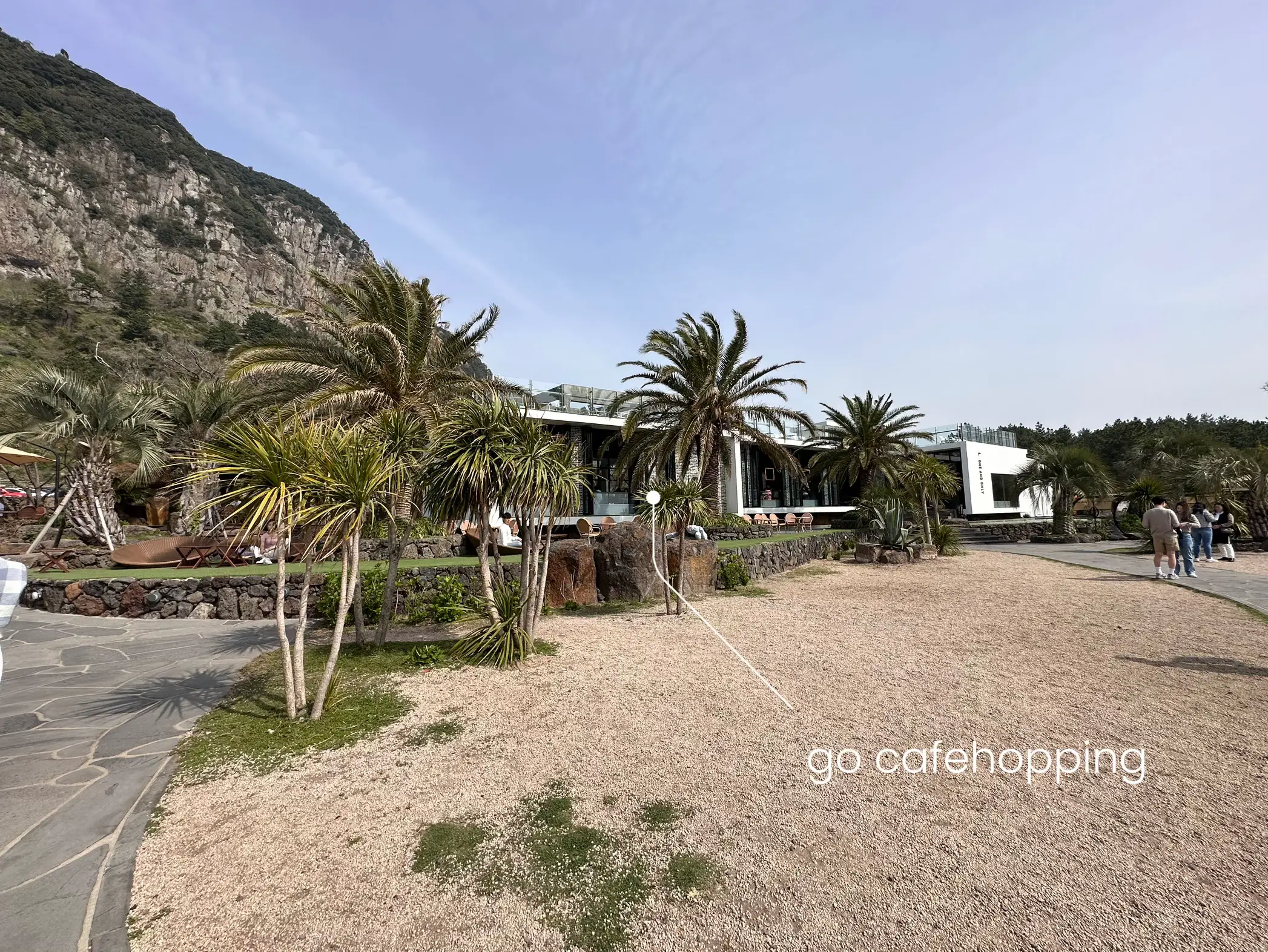 📌 10 things I did in Jeju in spring 🌸 | แกลเลอรีที่โพสต์โดย Ness | Lemon8