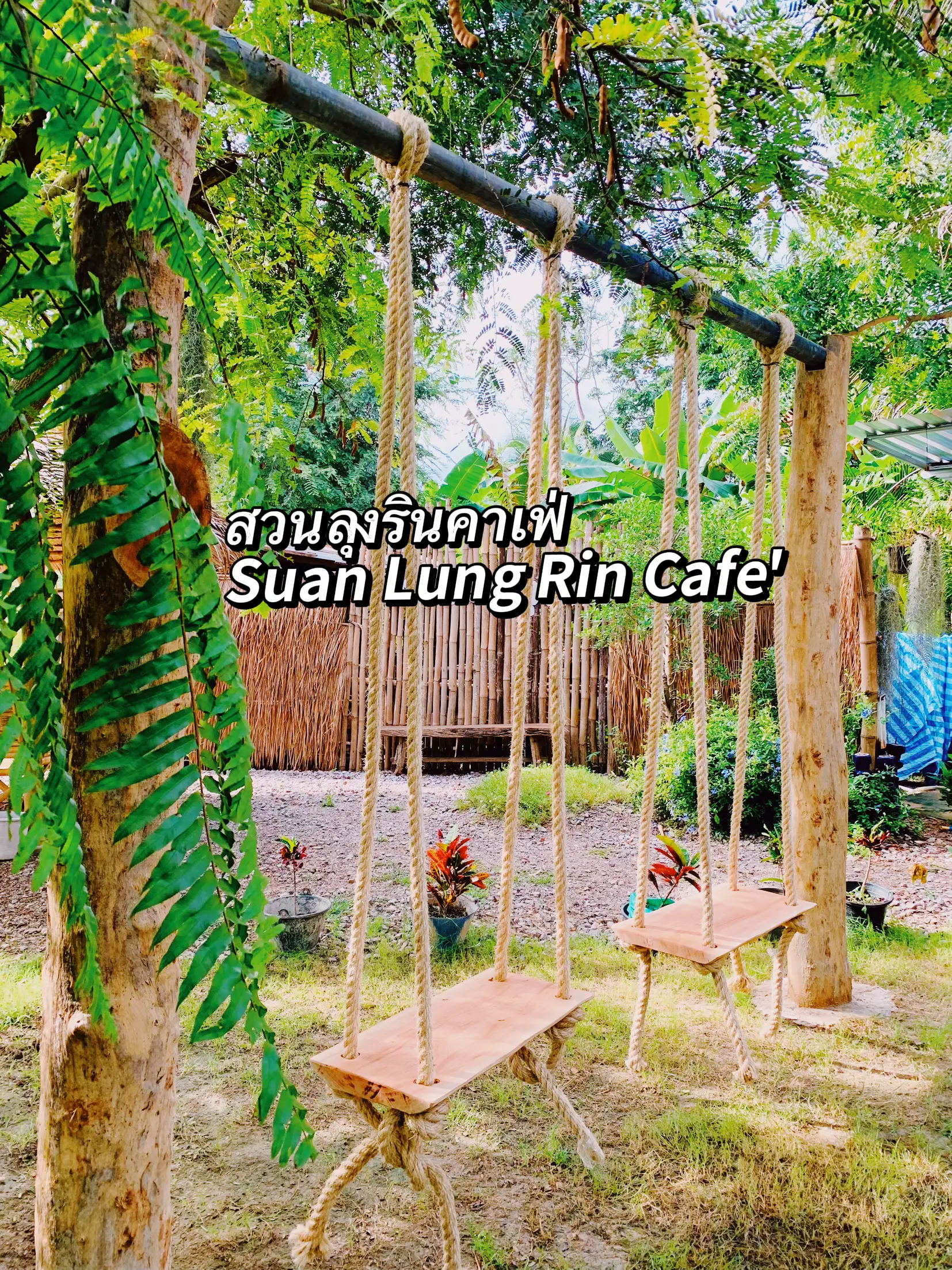 สวนลุงรินคาเฟ่ Suan Lung Rin Cafe' | แกลเลอรีที่โพสต์โดย 12AM. | Lemon8
