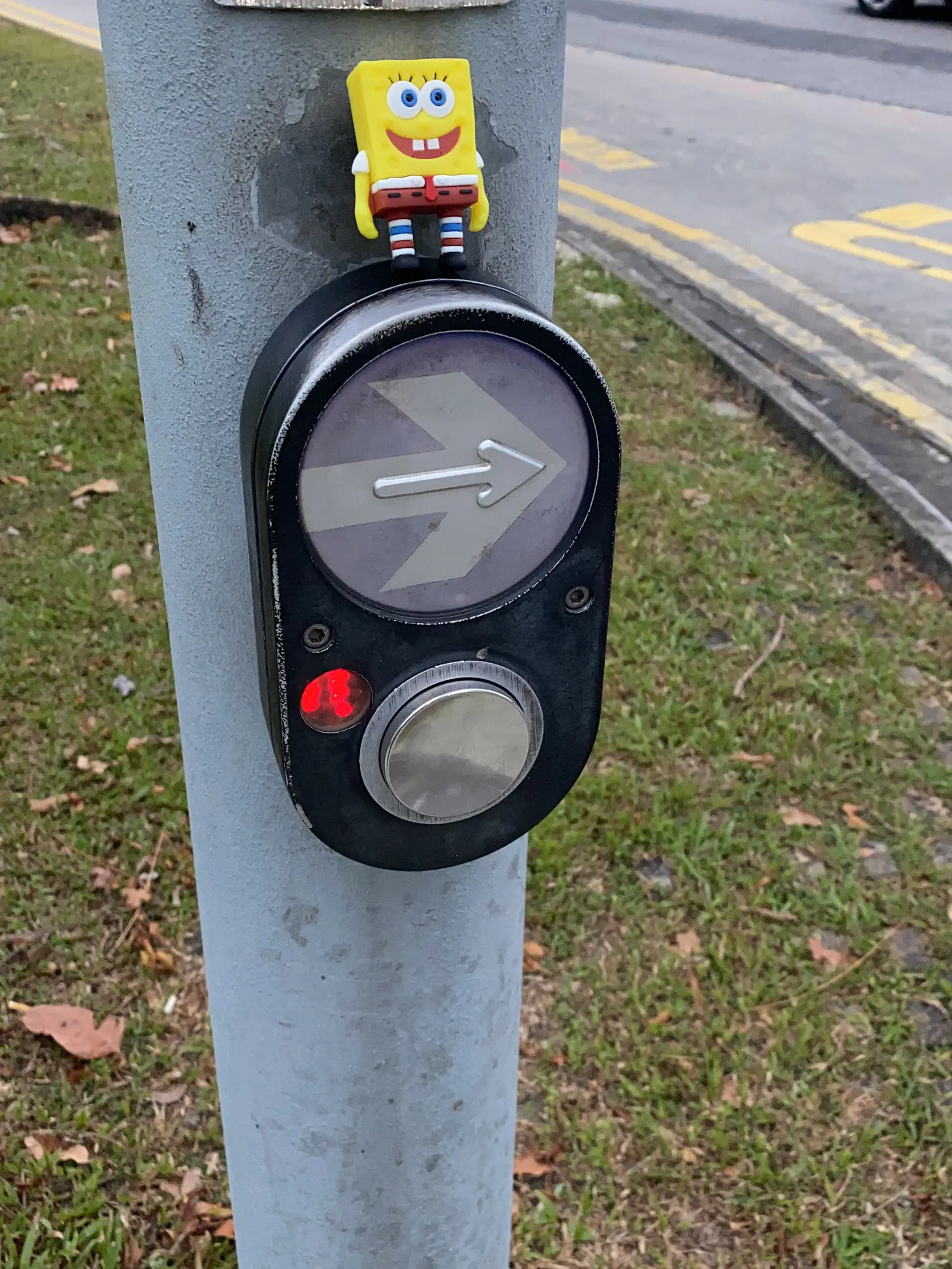 Sponge bob at traffic light | Gallery posted by InstituteBeauty | Lemon8