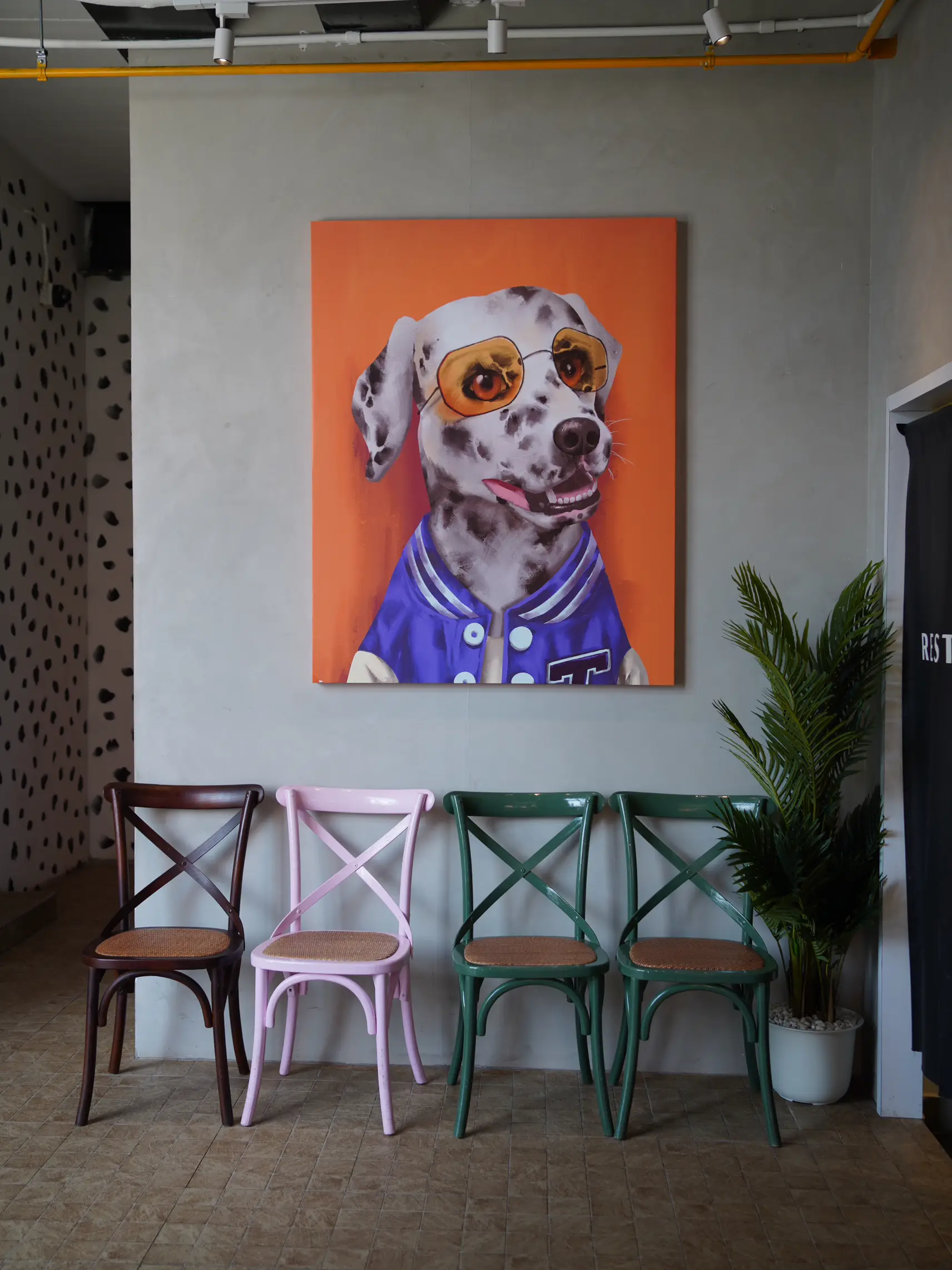 Dalmatian 달마시안 Siam Square Block | แกลเลอรีที่โพสต์โดย TravelTogether ...