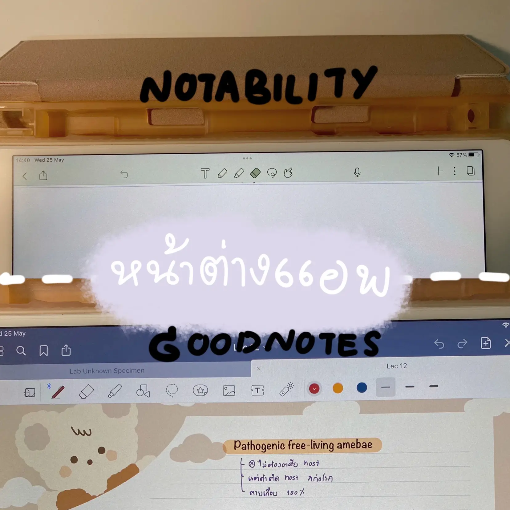 เจอแล้ว! แอปที่ดีกว่า Goodnote 1,000,000% | แกลเลอรีที่โพสต์โดย GleamingGlow🦋🌟 | Lemon8