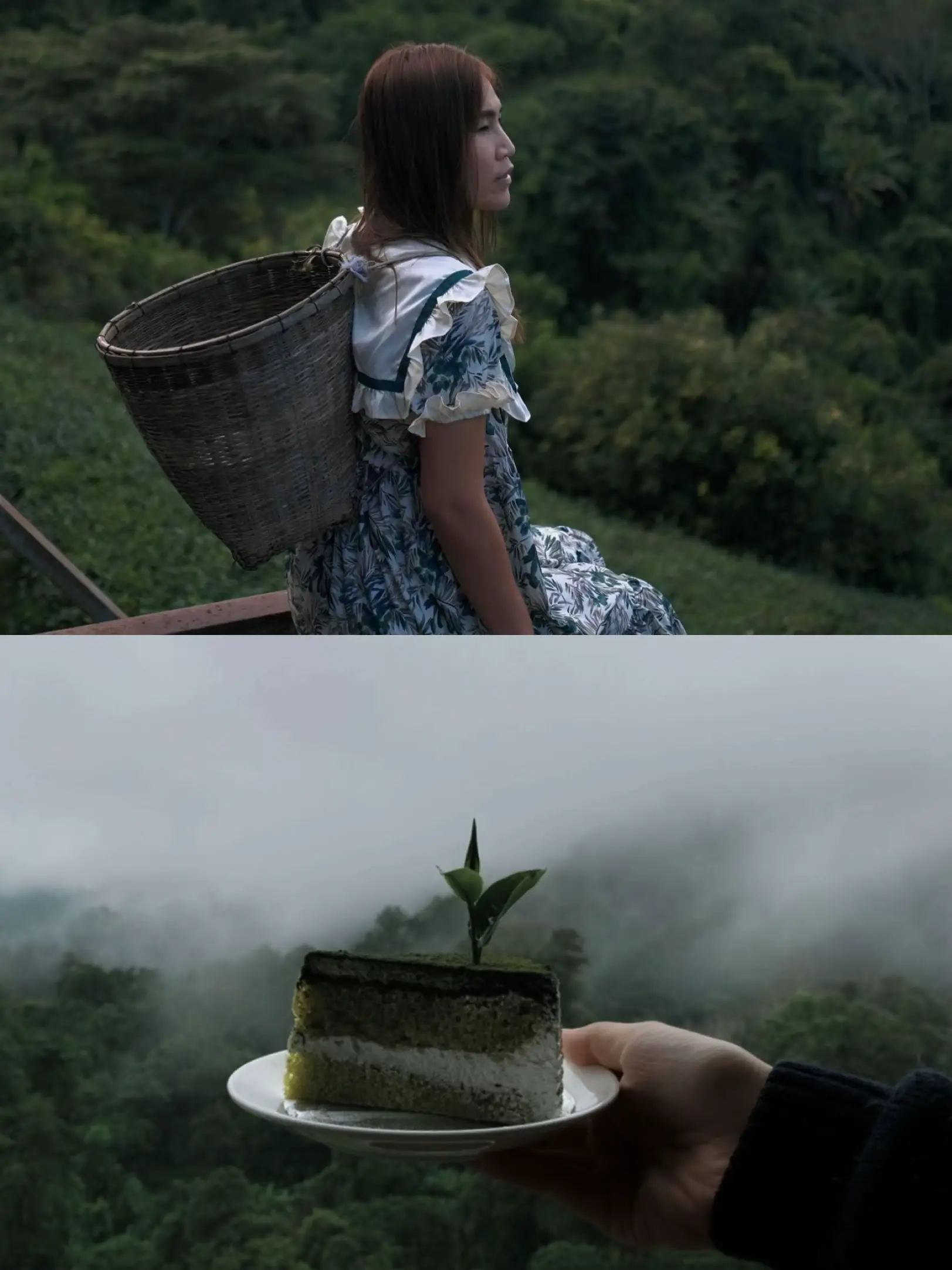 Sitting a chill sipping tea. Eating tea cake among the tea plantations ...