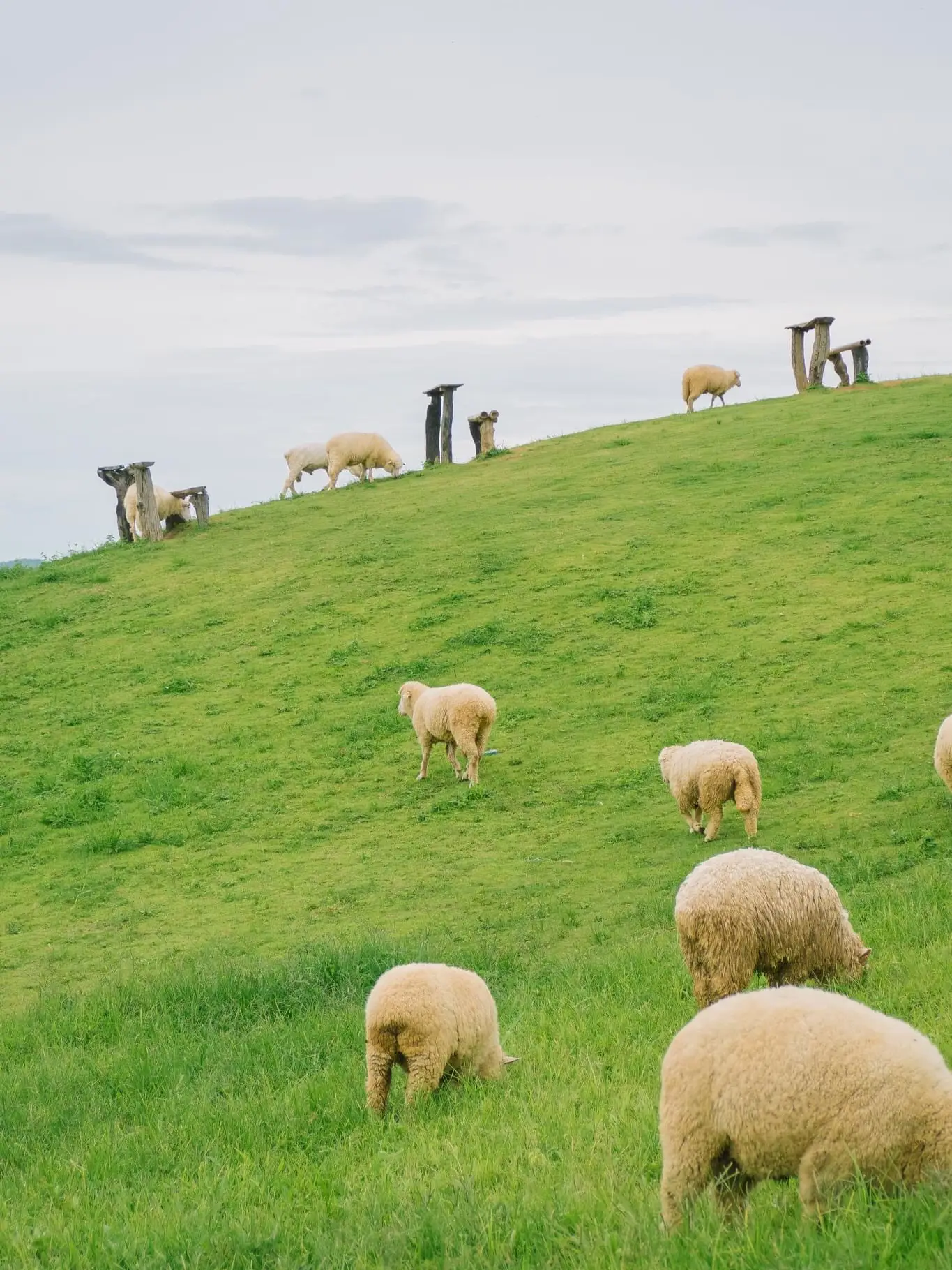 น่ารักเกินต้าน! Akha Farmville 🐑🌳 | แกลเลอรีที่โพสต์โดย lbzero | Lemon8