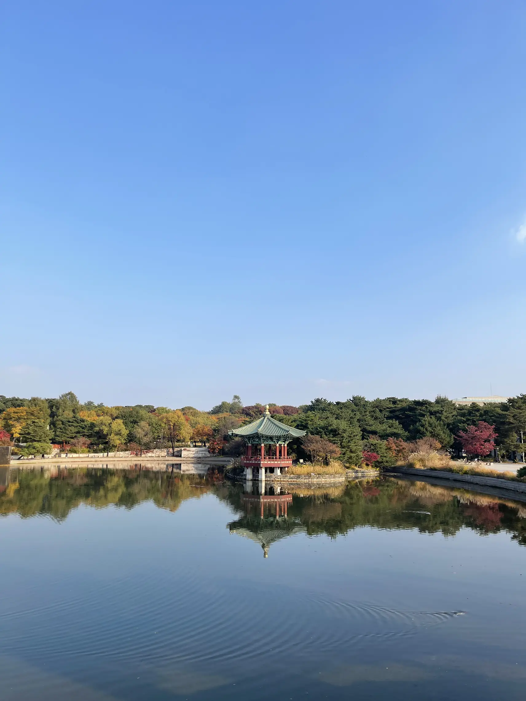 DEAR NOVEMBER 🍁 เกาหลีในฤดูใบไม้ร่วง (가을) | แกลเลอรีที่โพสต์โดย npsn.s ...